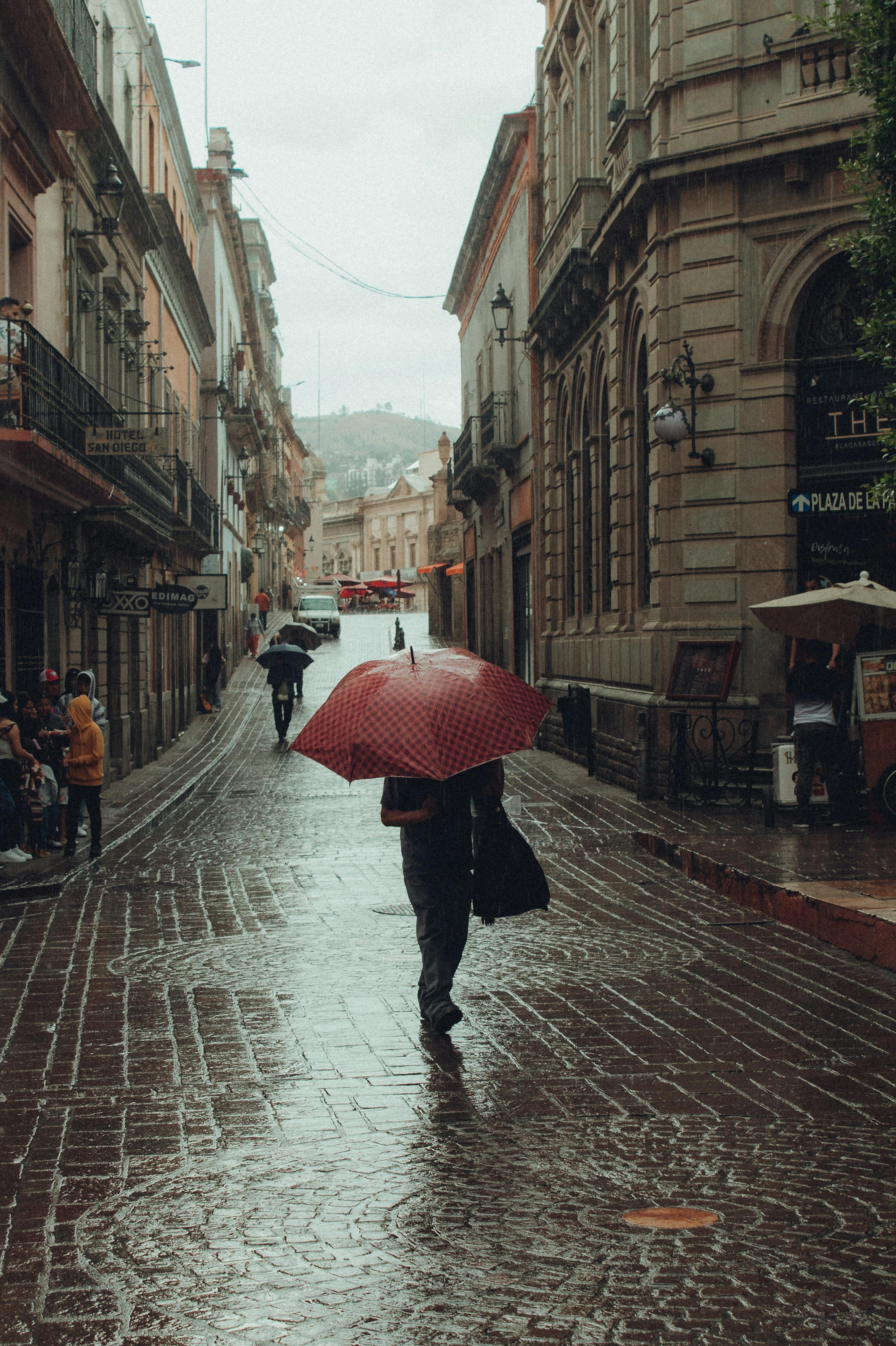 Person Walking while Holding an Umbrella while Raining · Free Stock Photo