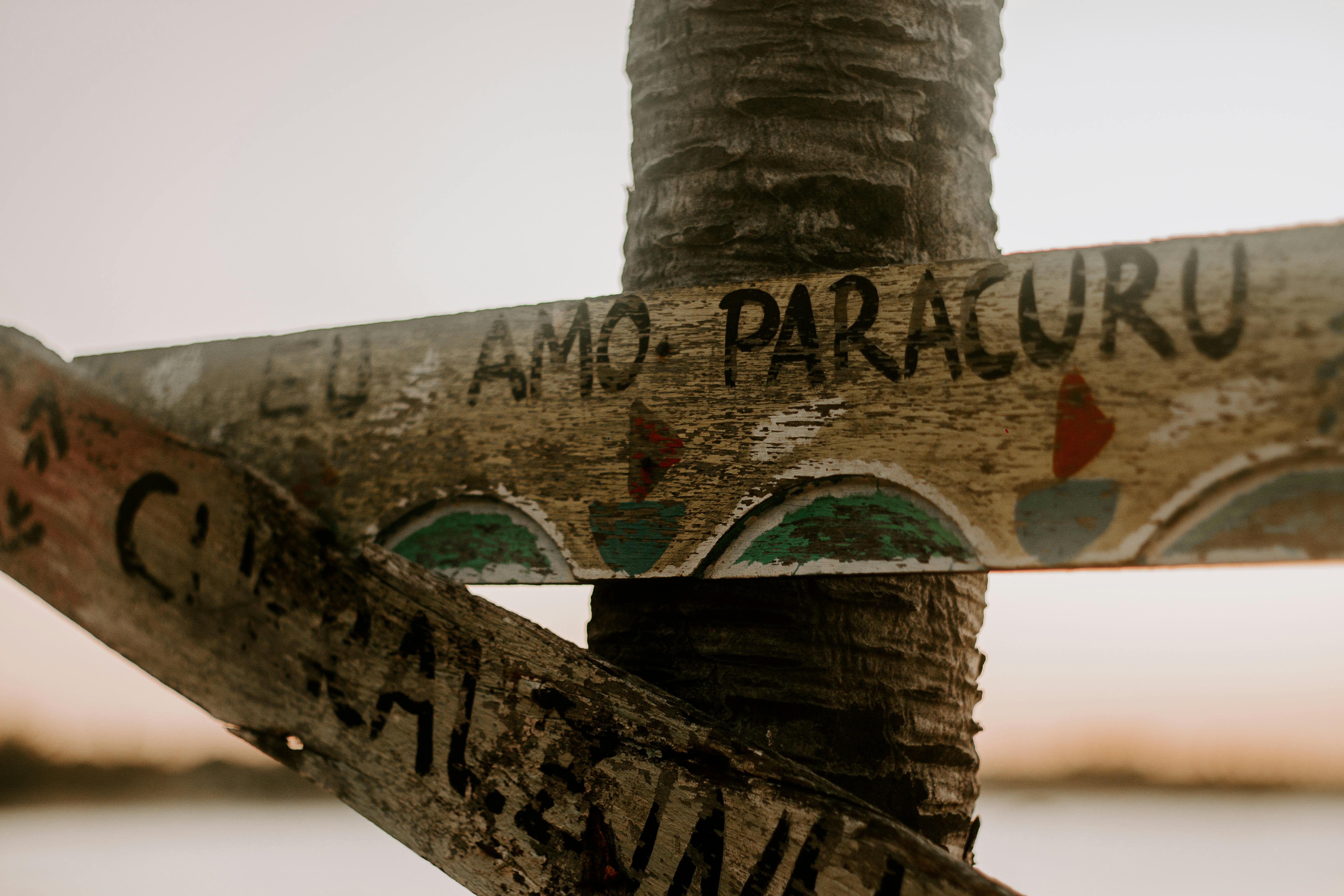 Boards Photos, Download The BEST Free Boards Stock Photos & HD Images