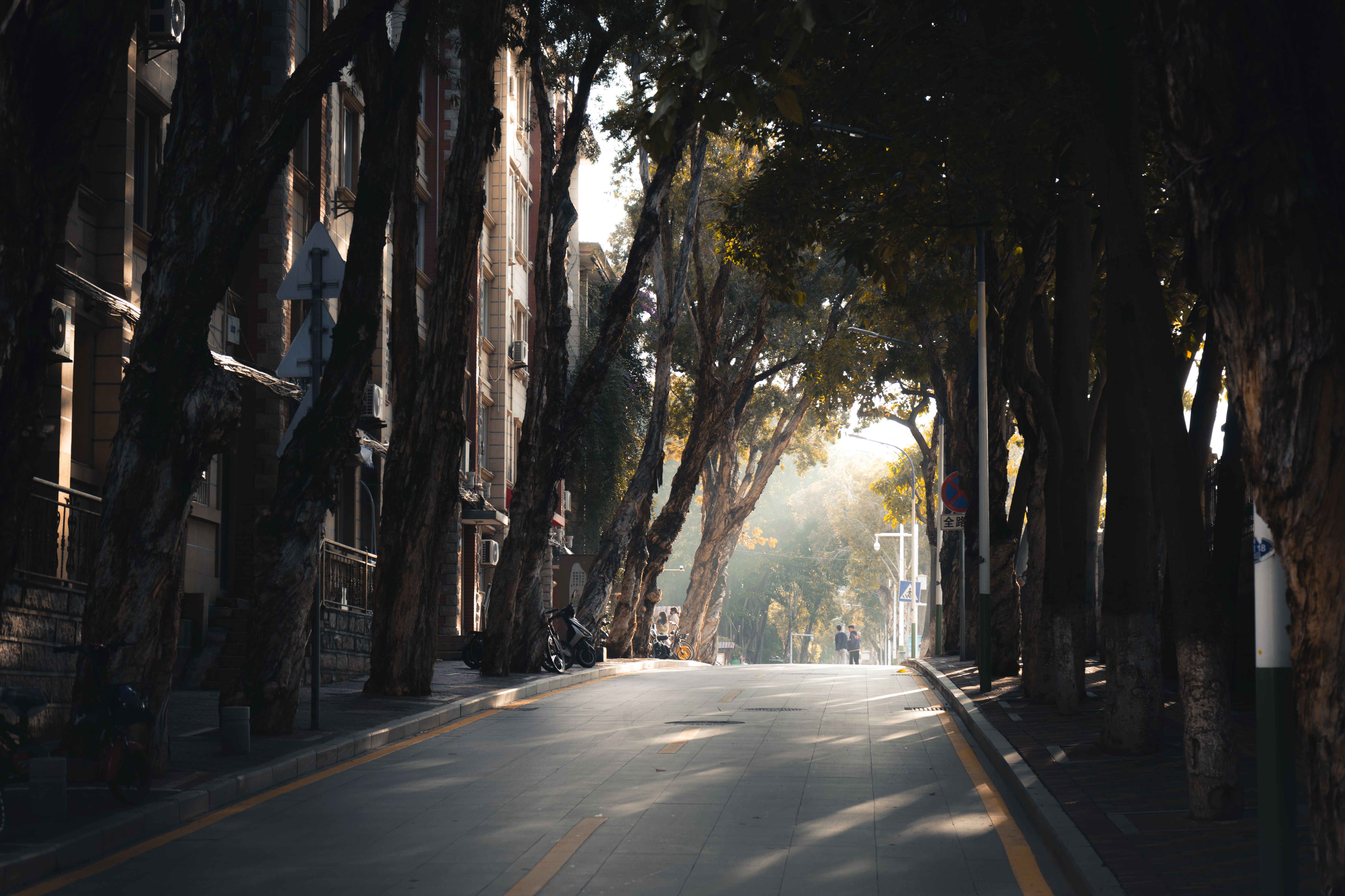 Buildings Lining Road Photos, Download The BEST Free Buildings Lining ...