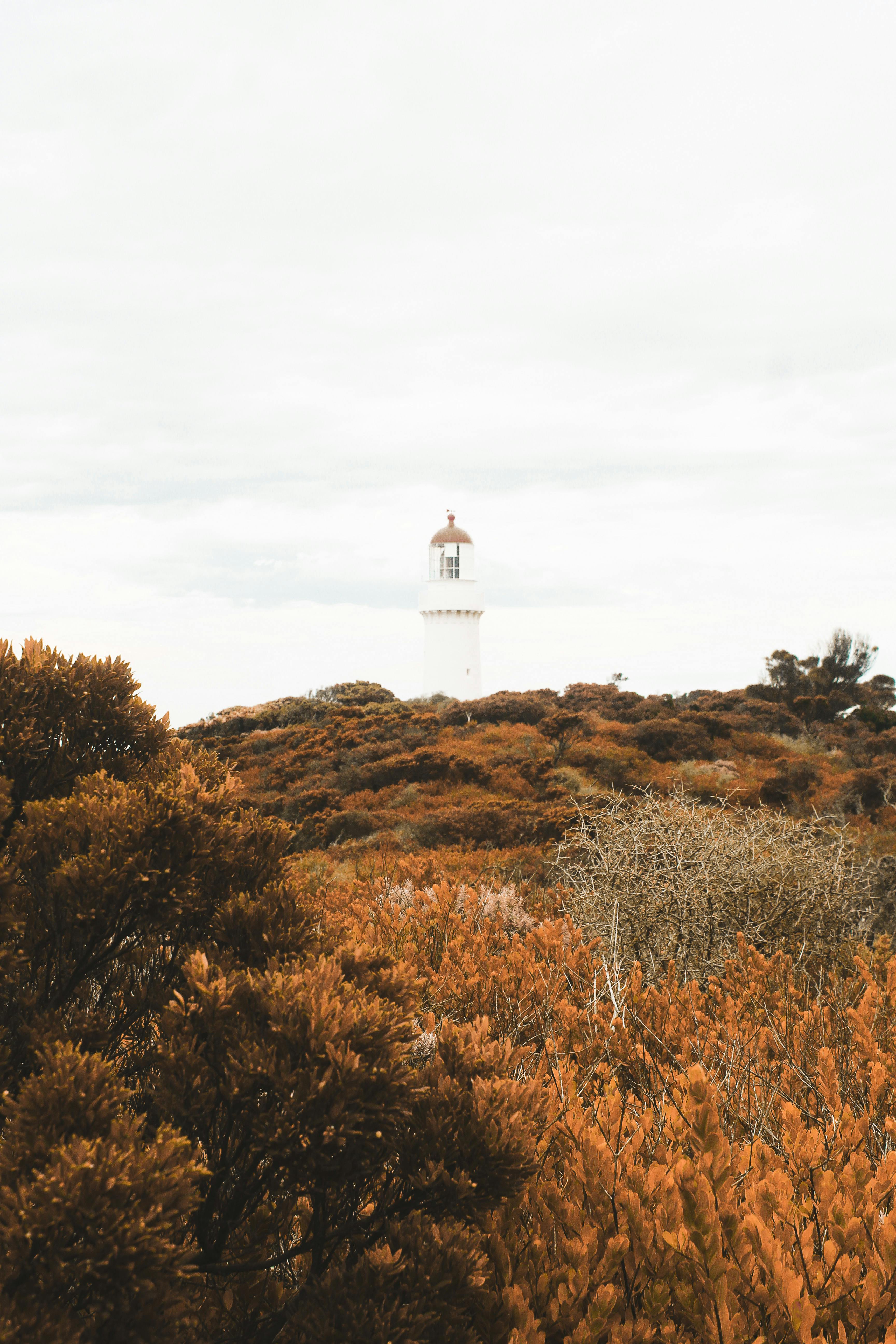 In Distance White Lighthouse · Free Stock Photo