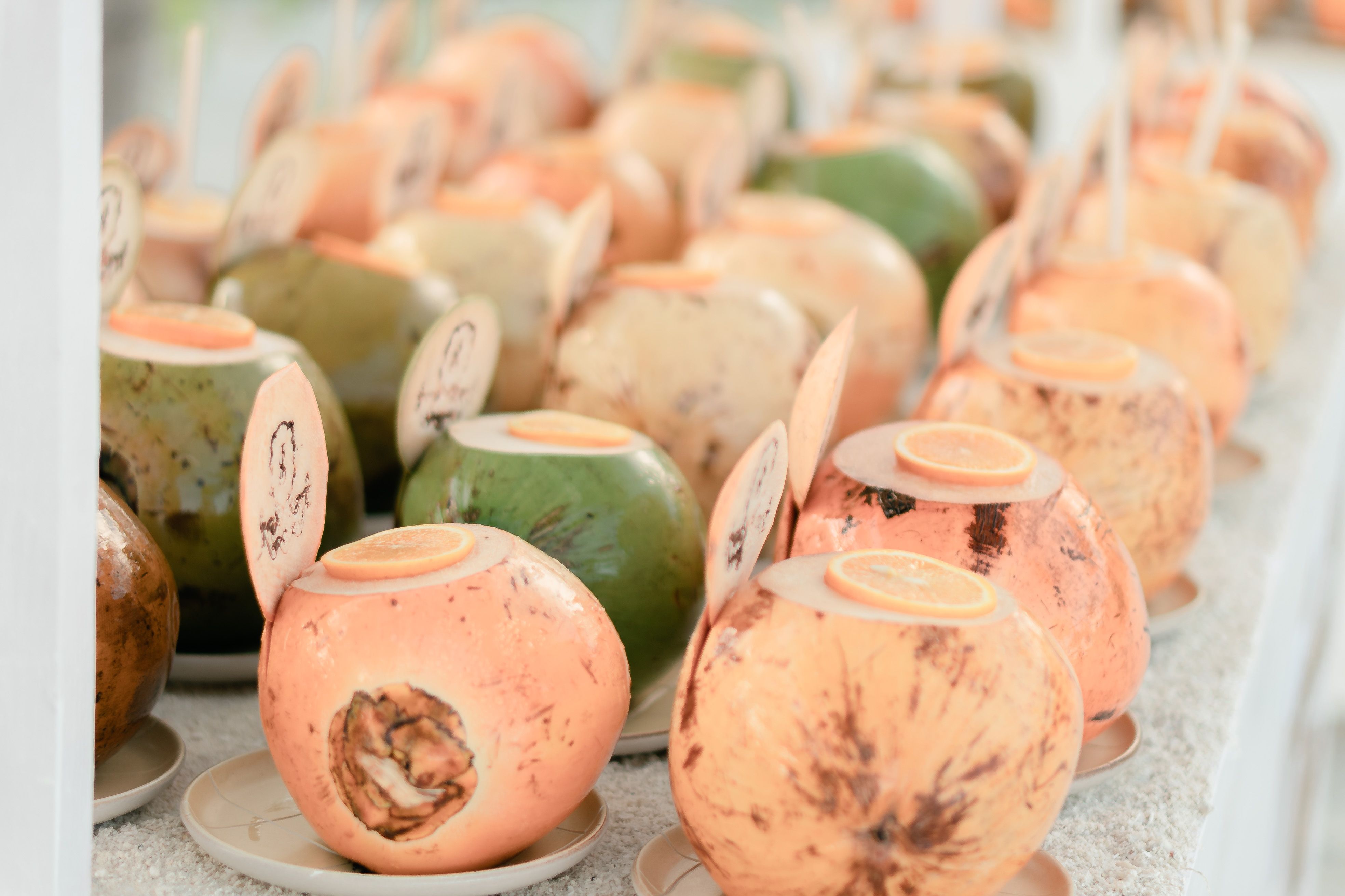 Foto de stock gratuita sobre cascara de coco, coco, de cerca, fruta ...