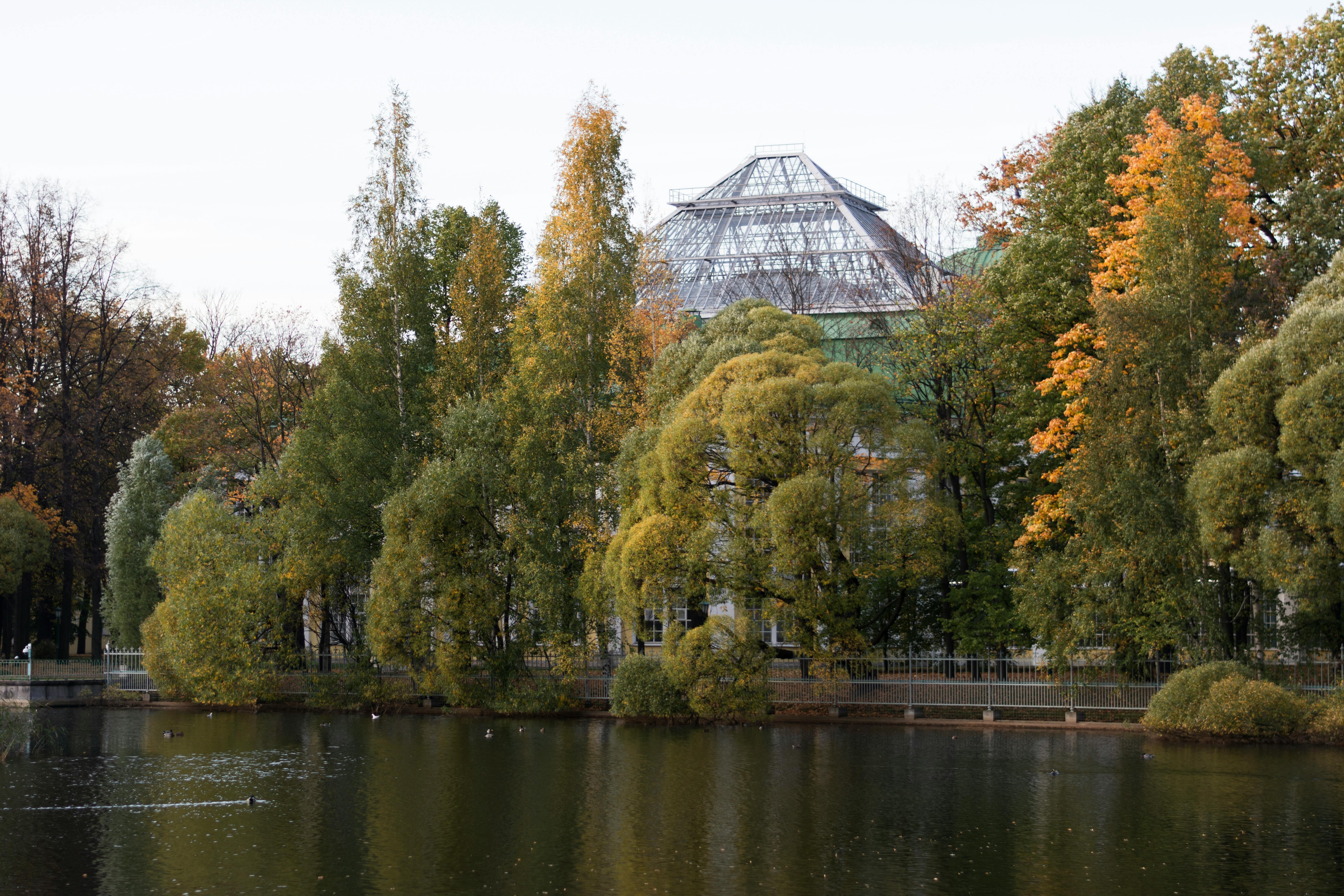 Building Between Trees in Park · Free Stock Photo