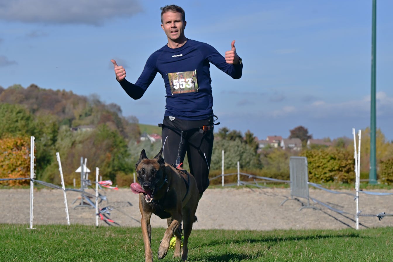 Roman War Dogs: Ancient Breeds & Everyday Life in the Legion