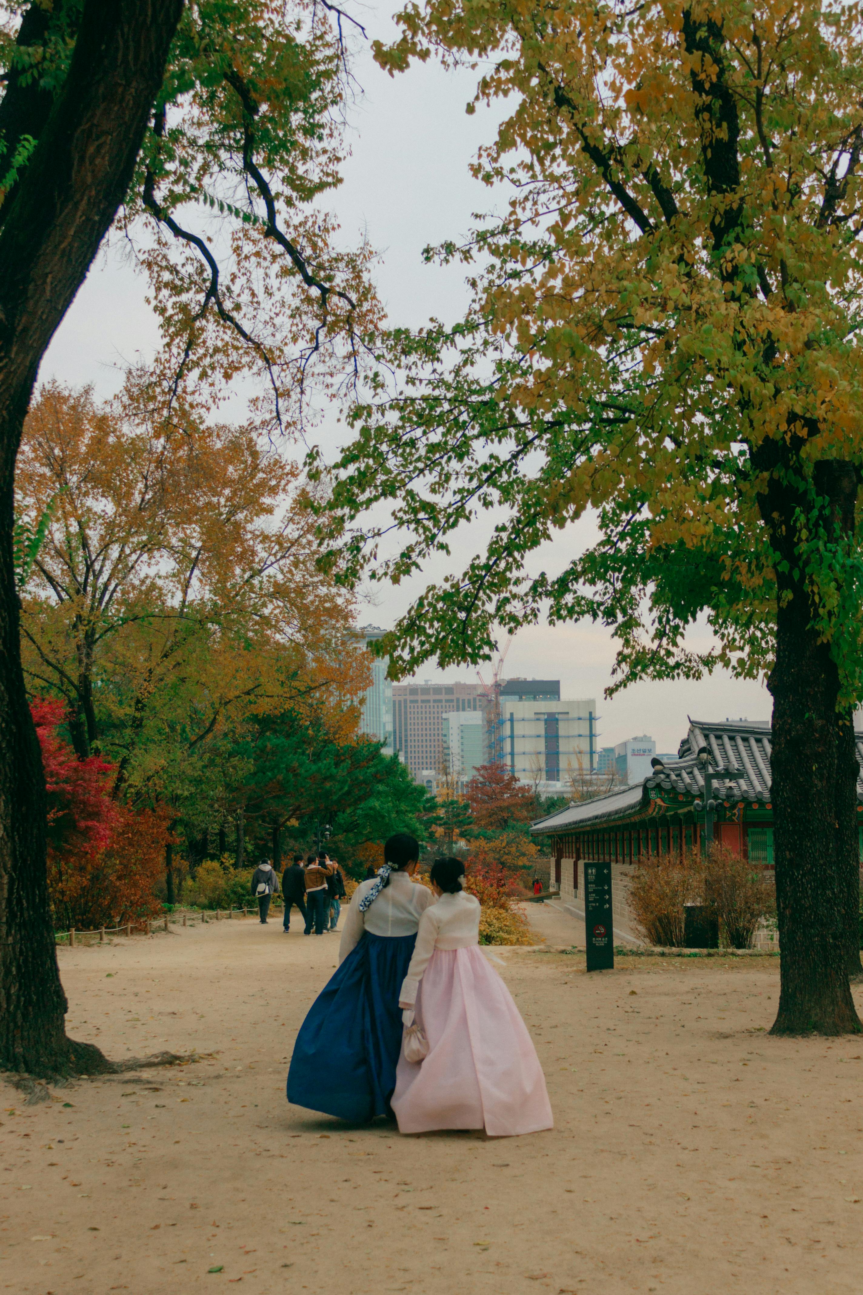 Hanbok Photos, Download The BEST Free Hanbok Stock Photos & HD Images