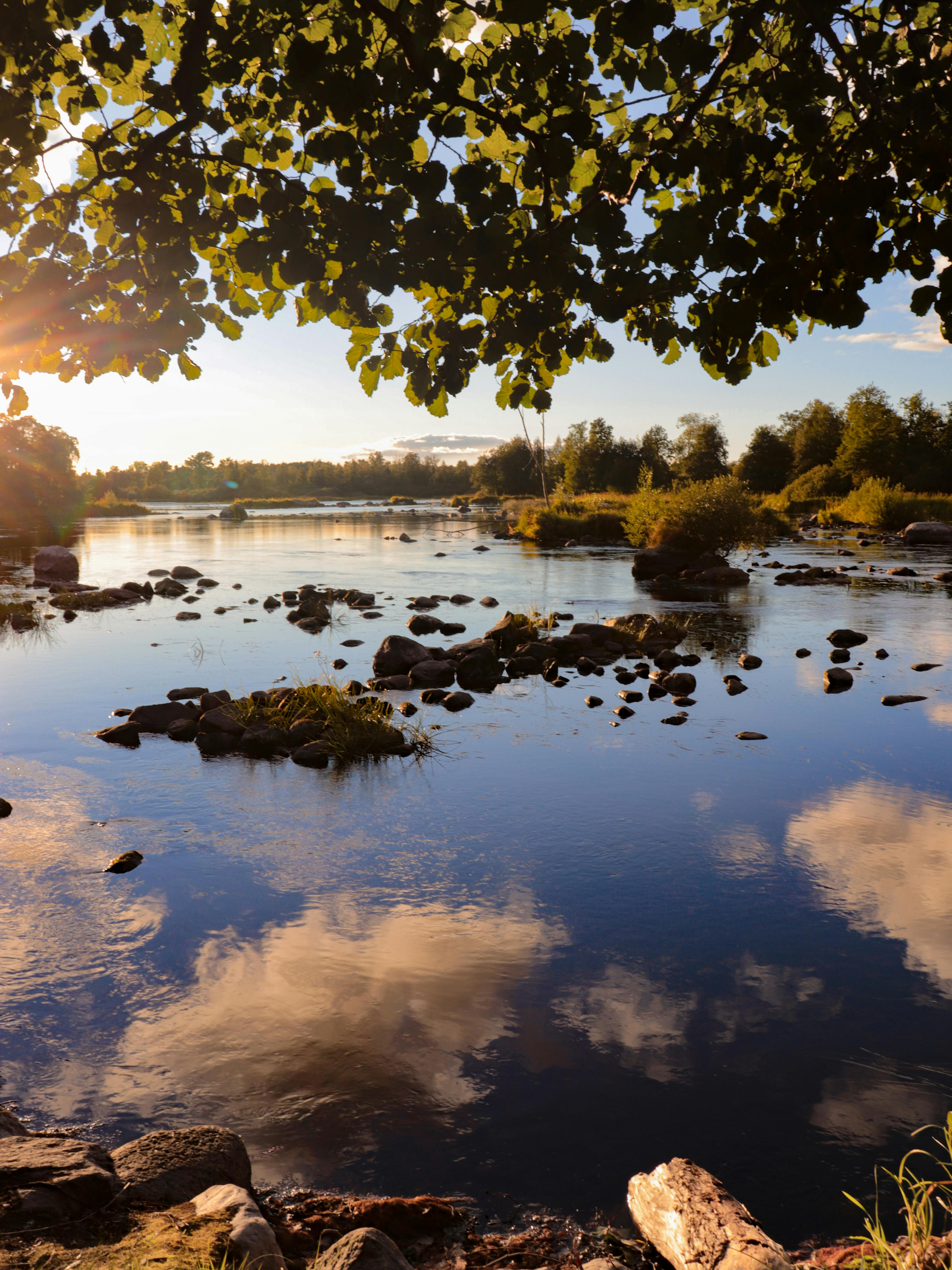 Placidity Photos, Download The BEST Free Placidity Stock Photos & HD Images