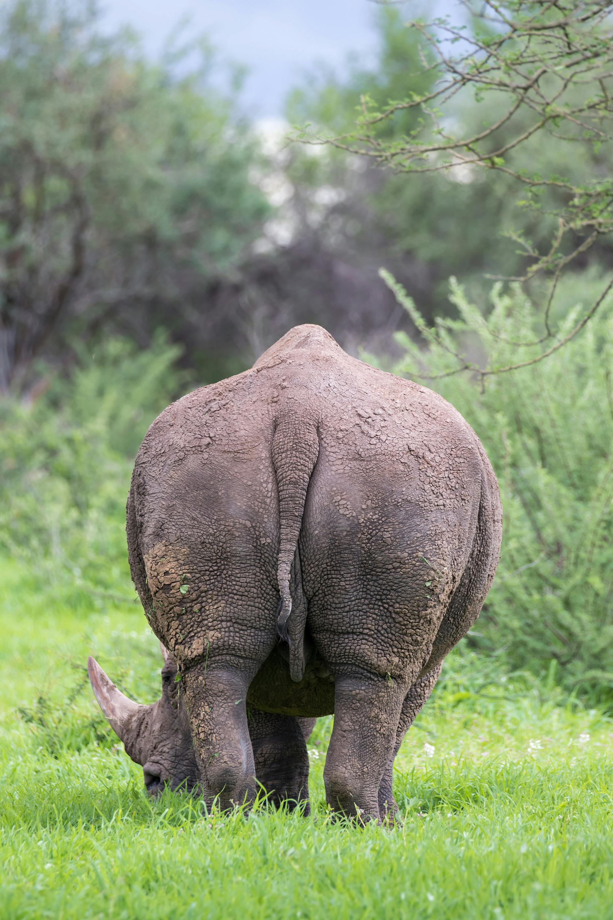 50.000+ Erotic Back Bilder und Fotos · Kostenlos Downloaden · Pexels ...