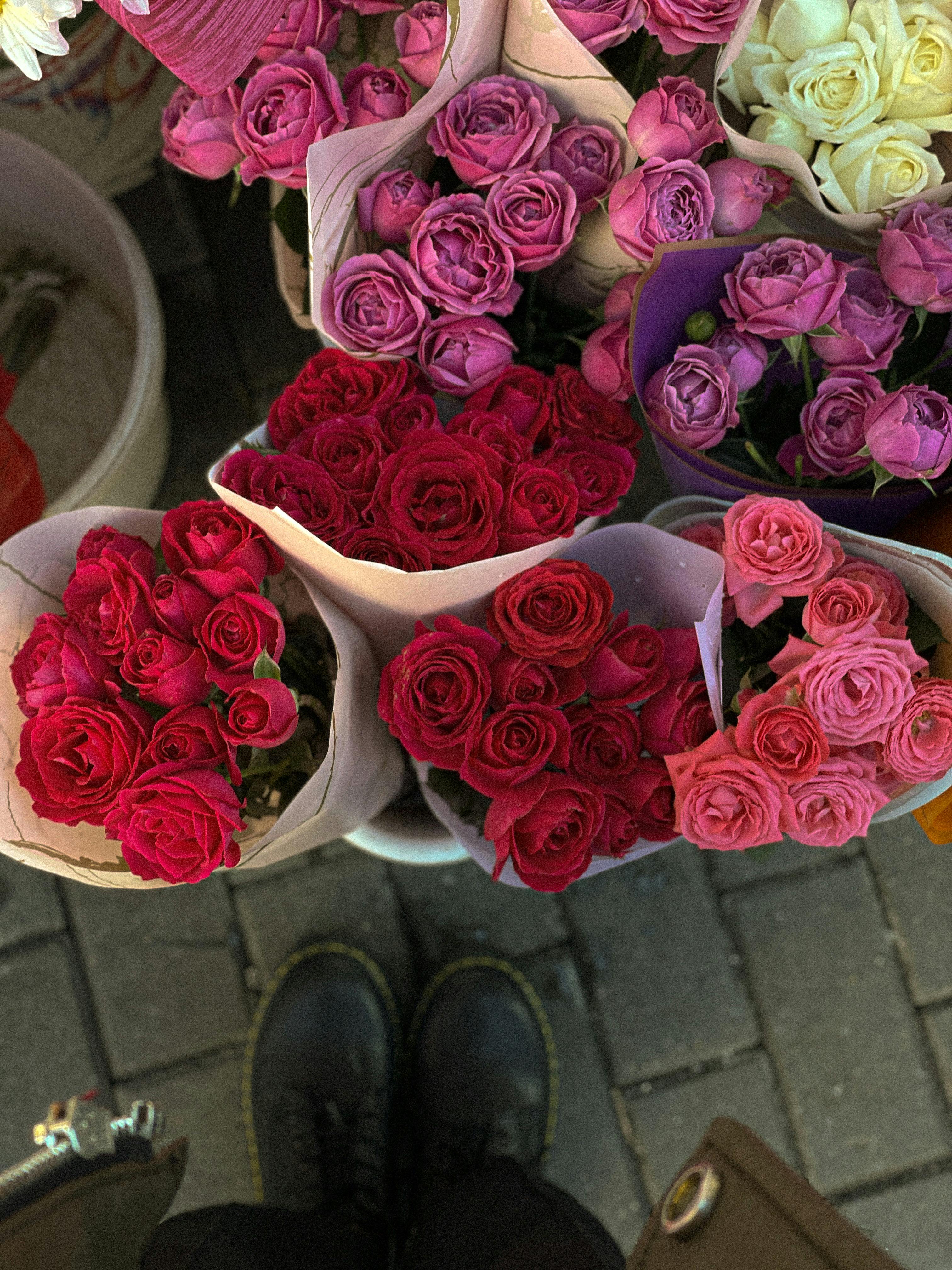 Photo of Assorted Color Roses · Free Stock Photo