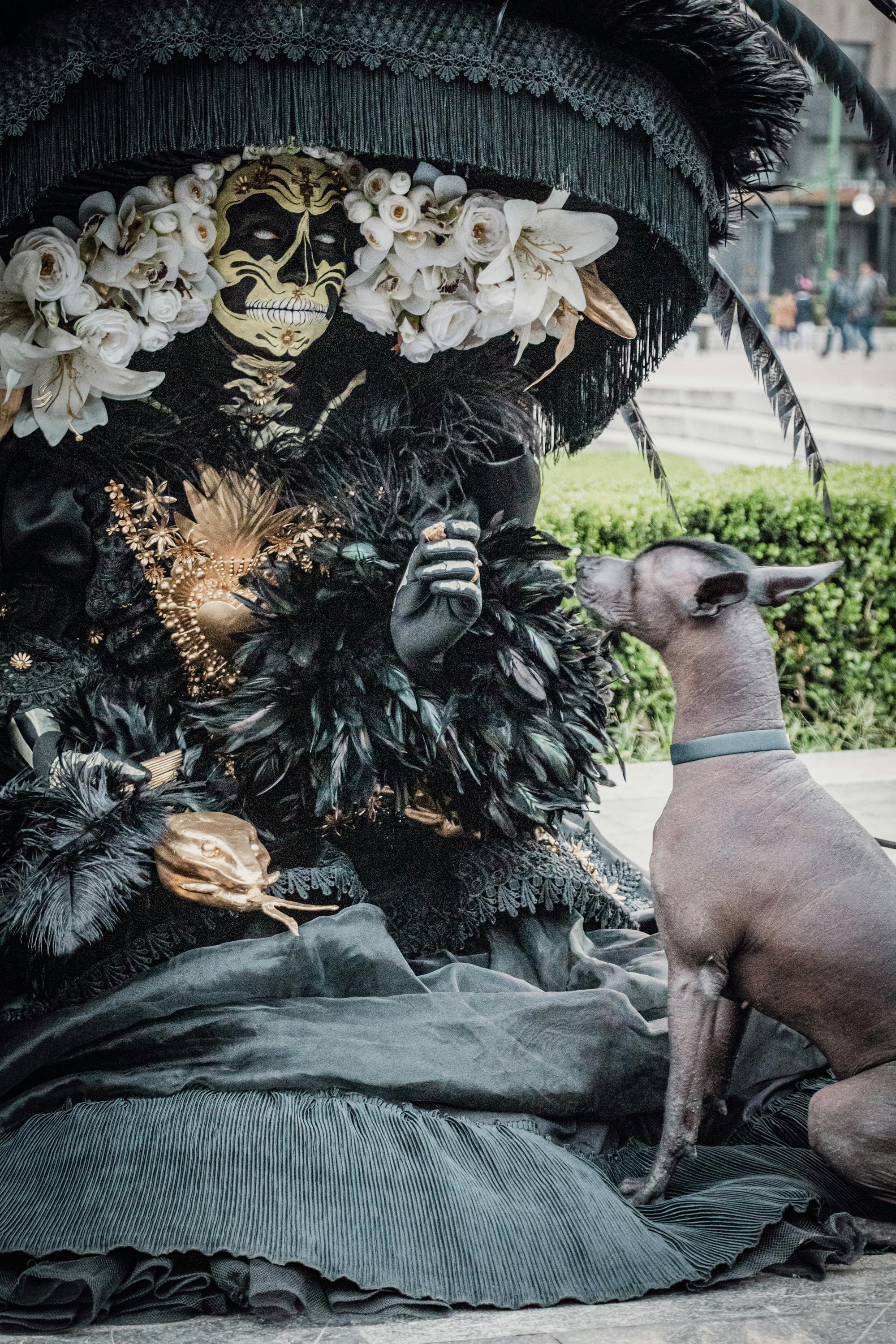 Catrina and Dog · Free Stock Photo