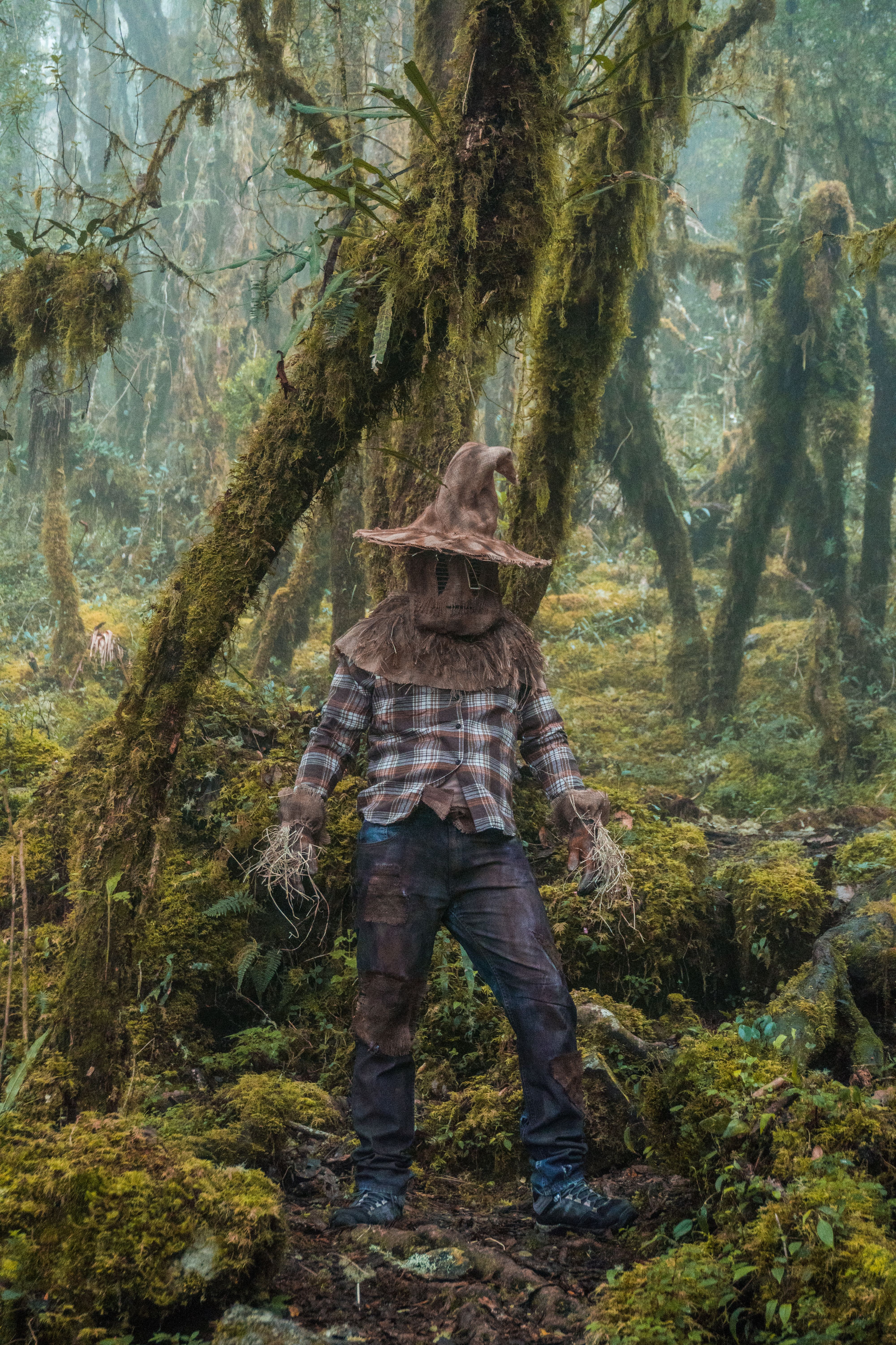 Monster in Forest · Free Stock Photo