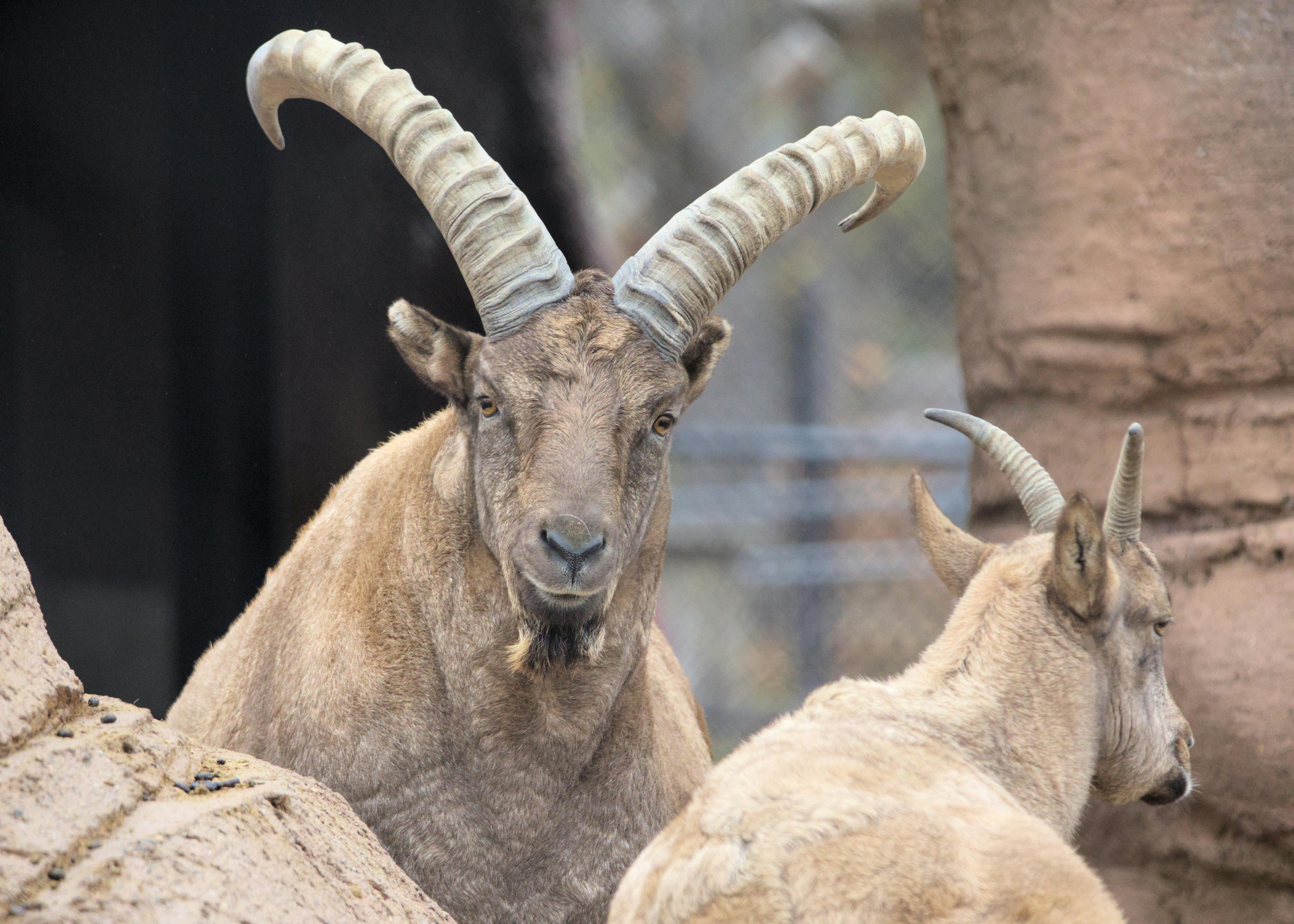 Tema Tur Photos, Download The BEST Free Tema Tur Stock Photos & HD Images