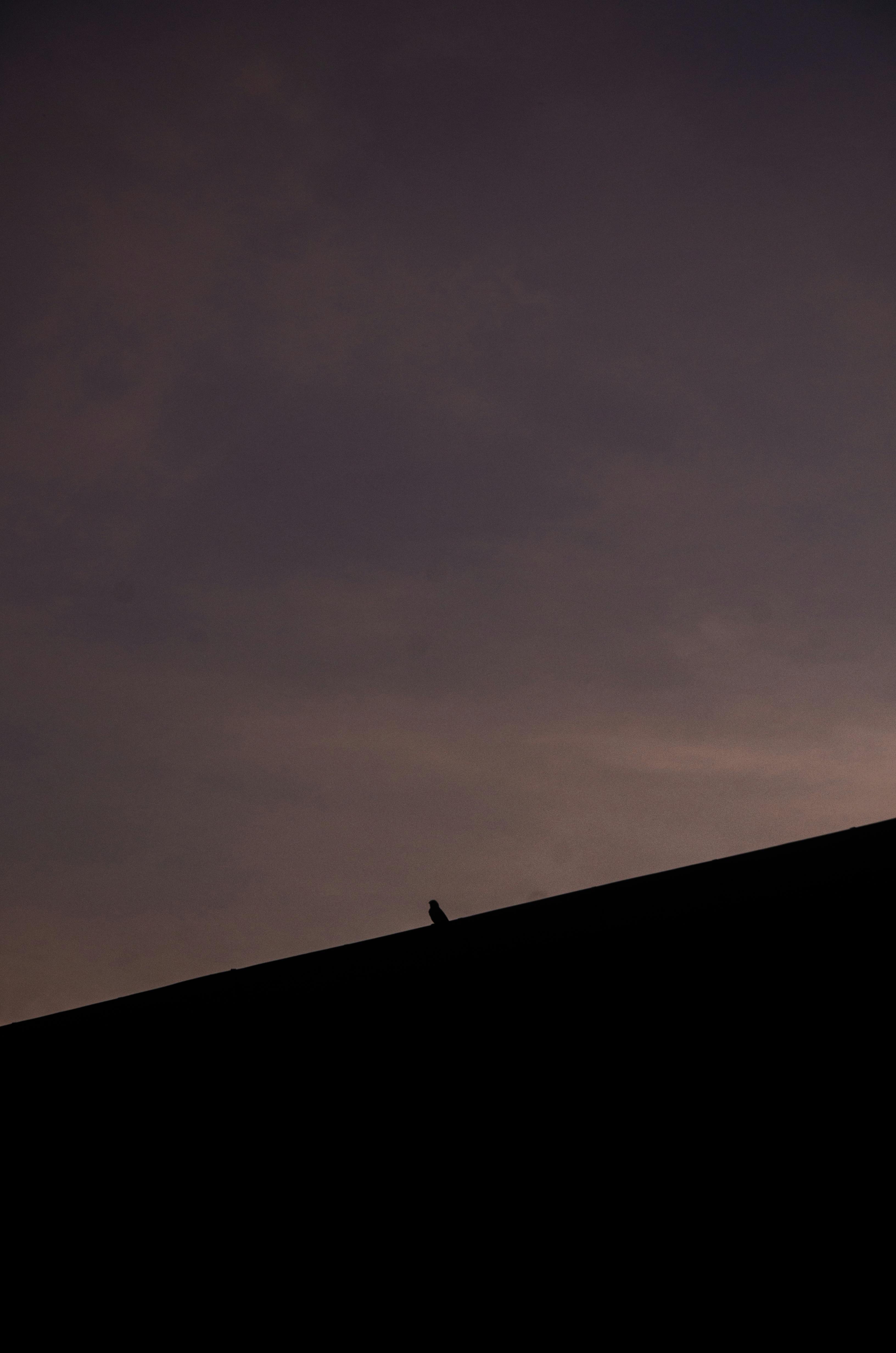 Animated Night Sky Photos, Download The BEST Free Animated Night Sky ...