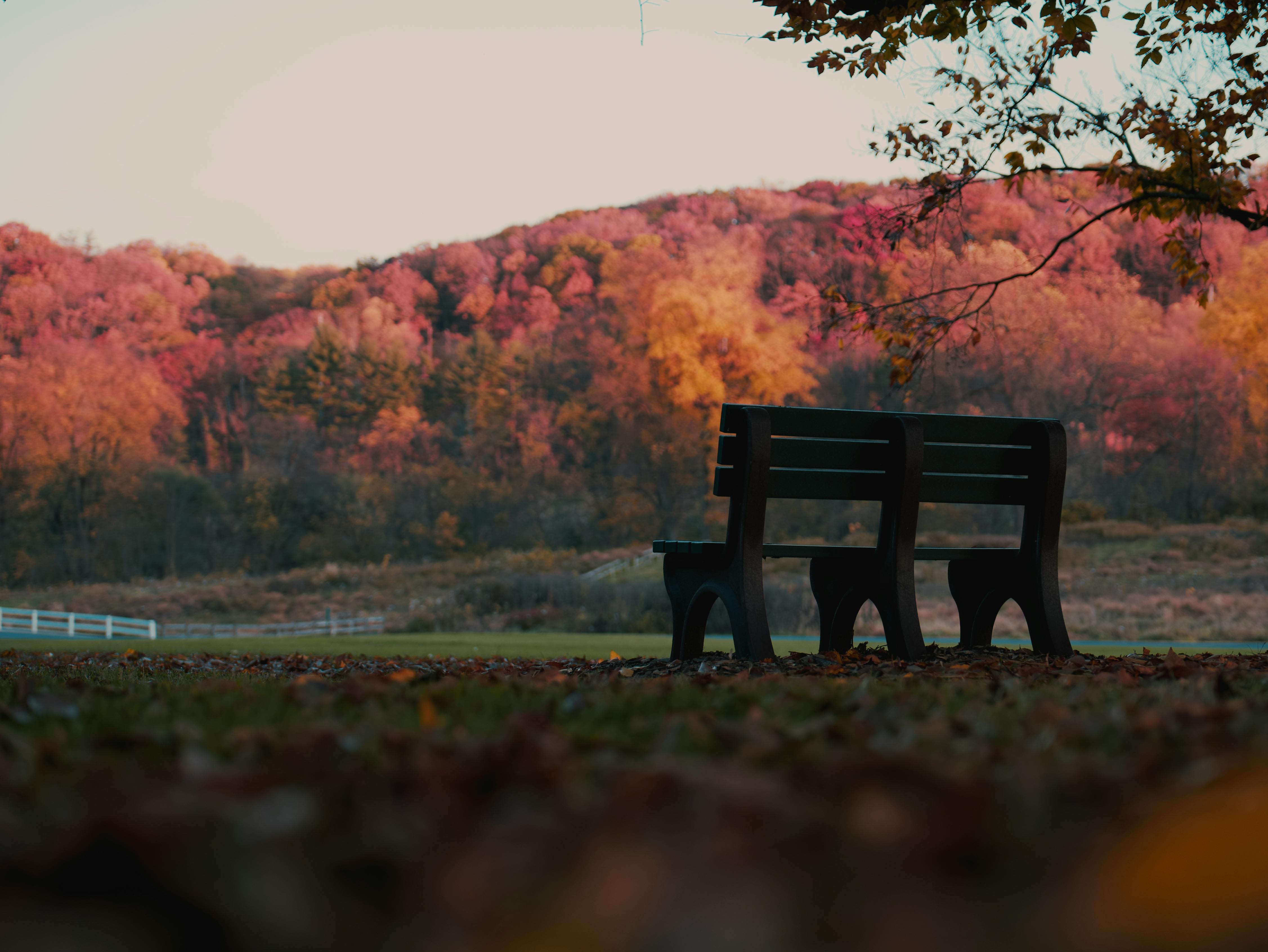 Aaron Burden - Photography