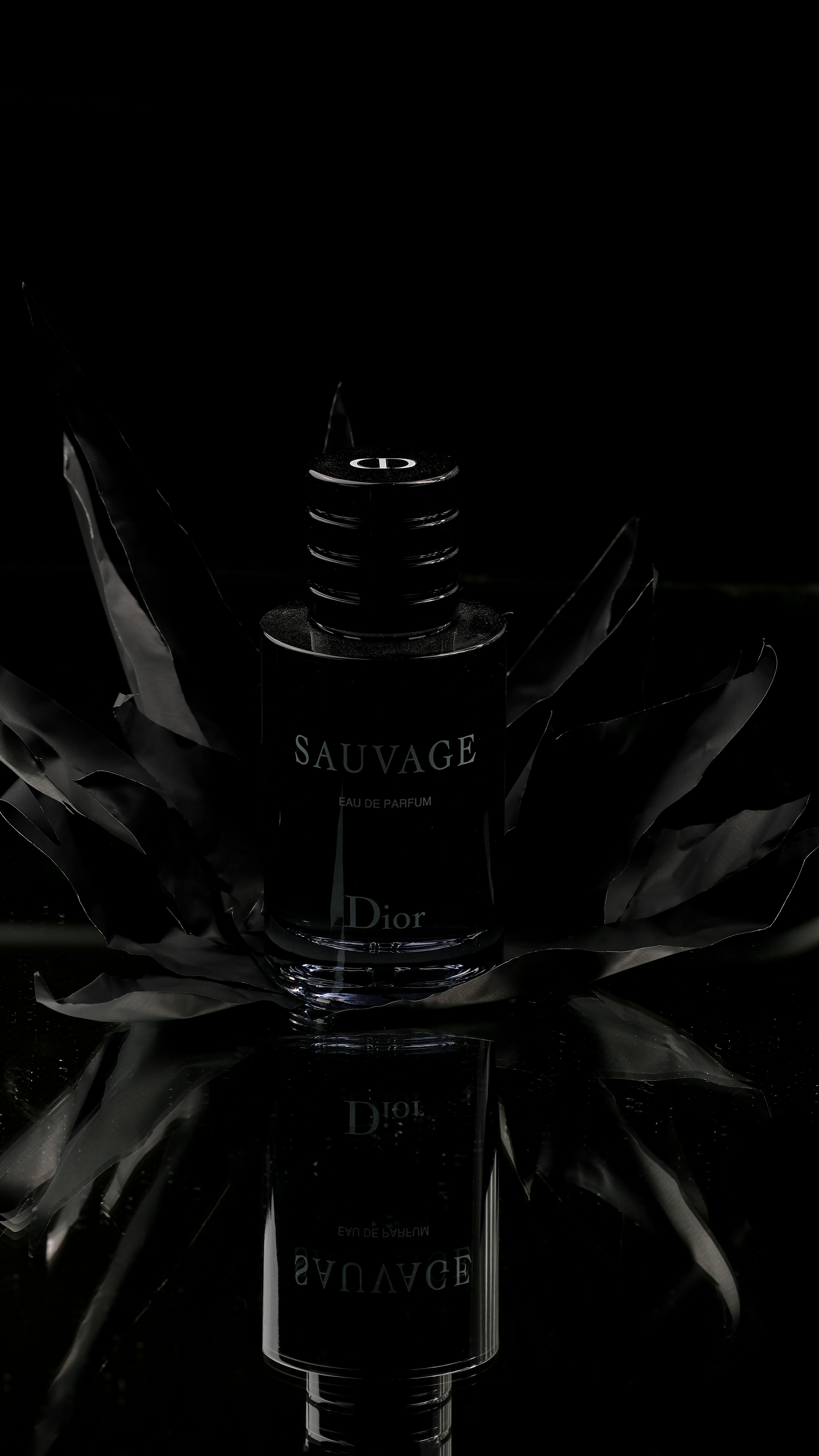 A Close-Up Shot of a Bottled Perfume · Free Stock Photo