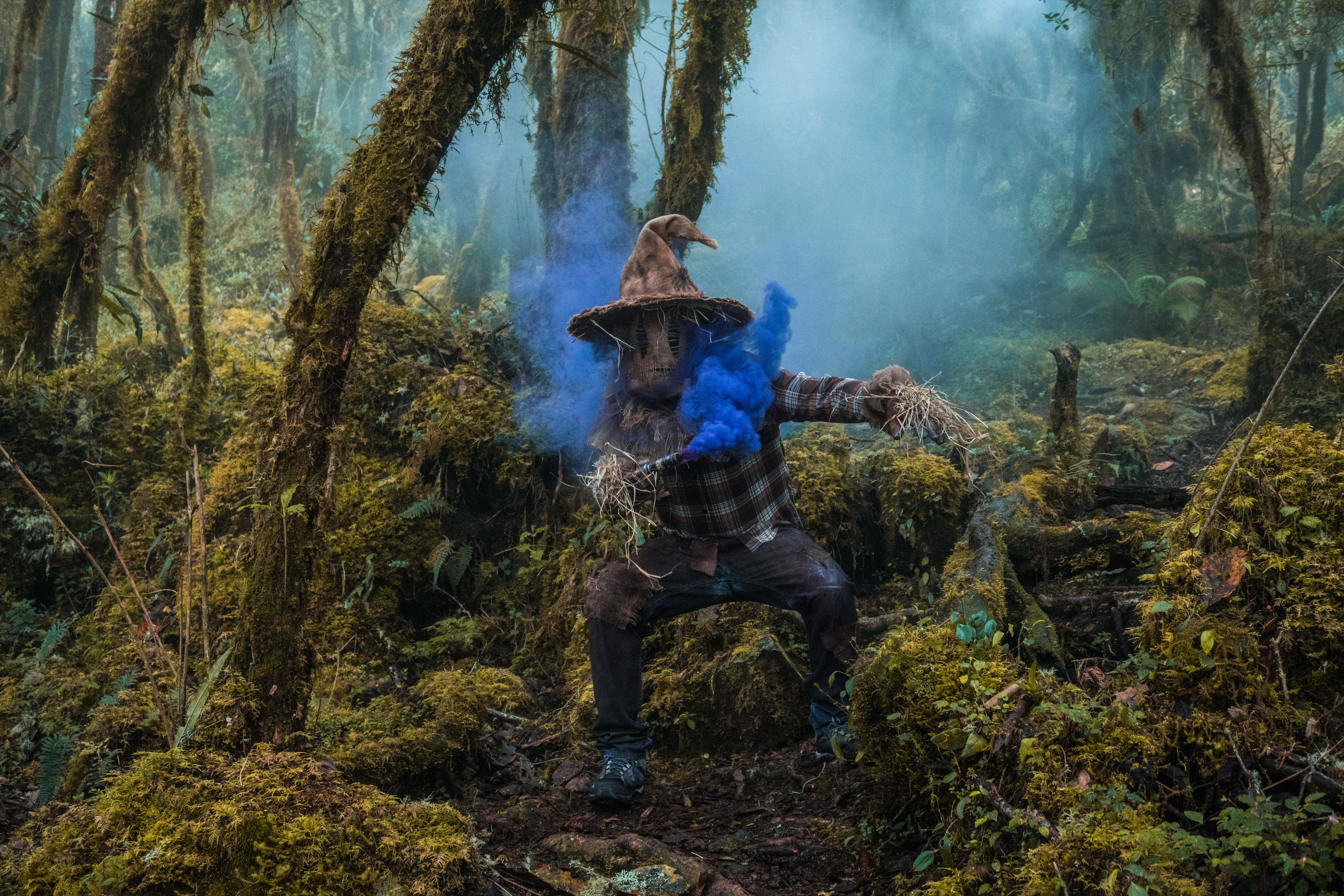 Monster with Flare in Forest · Free Stock Photo
