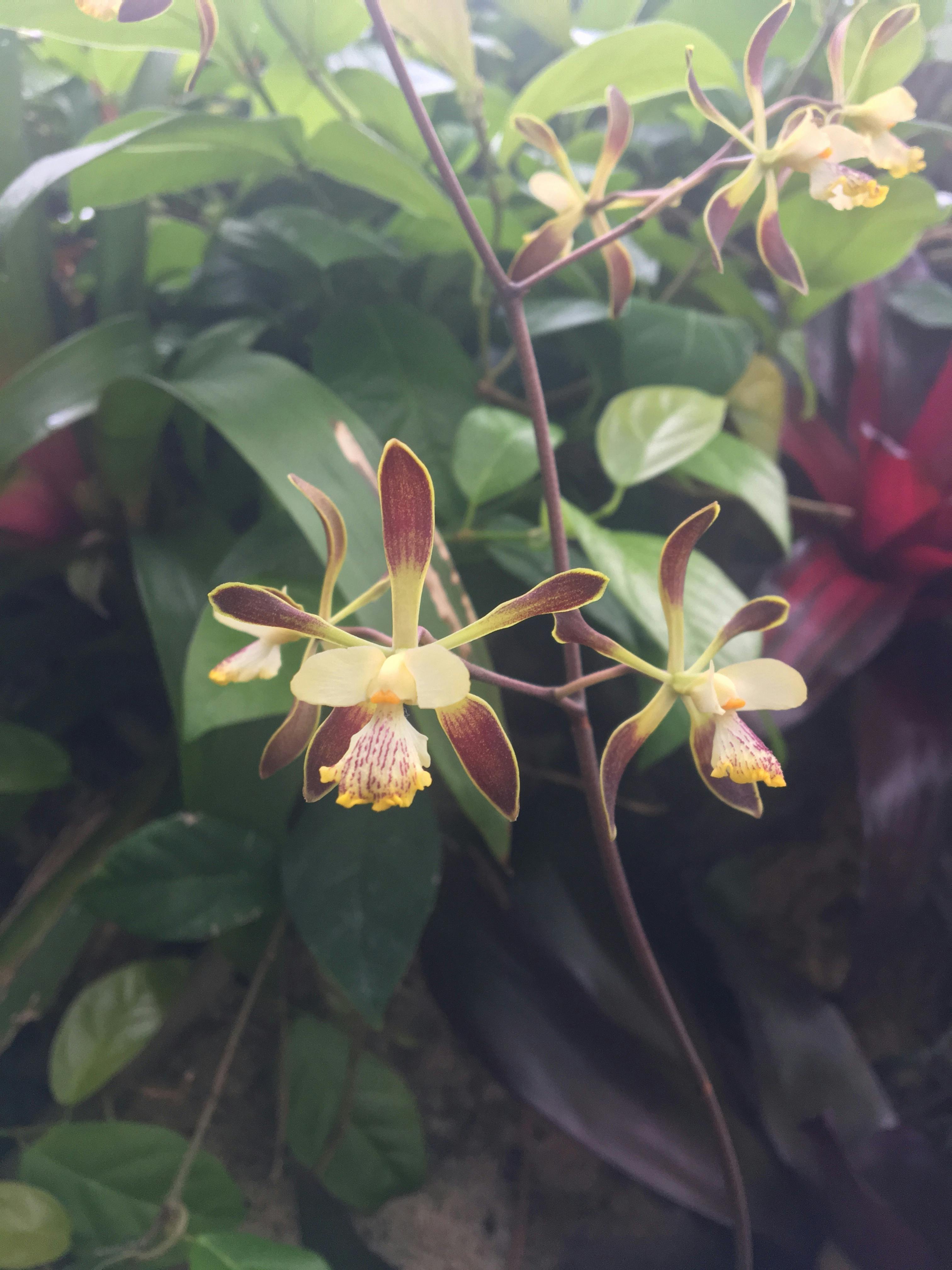 Josh Meeder · Photography