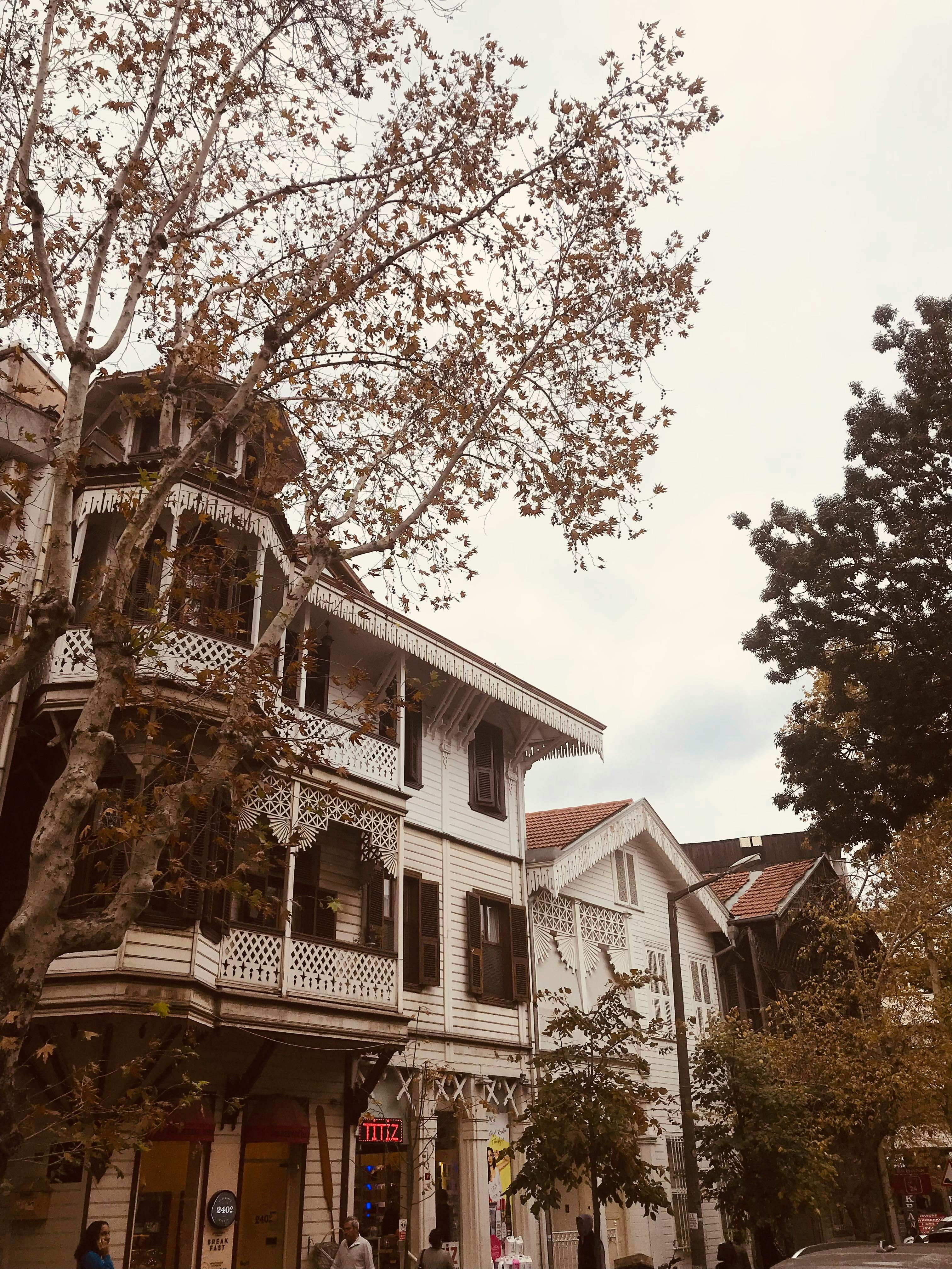 Bodrum 2026 - kompletny przewodnik po tureckim Saint-Tropez