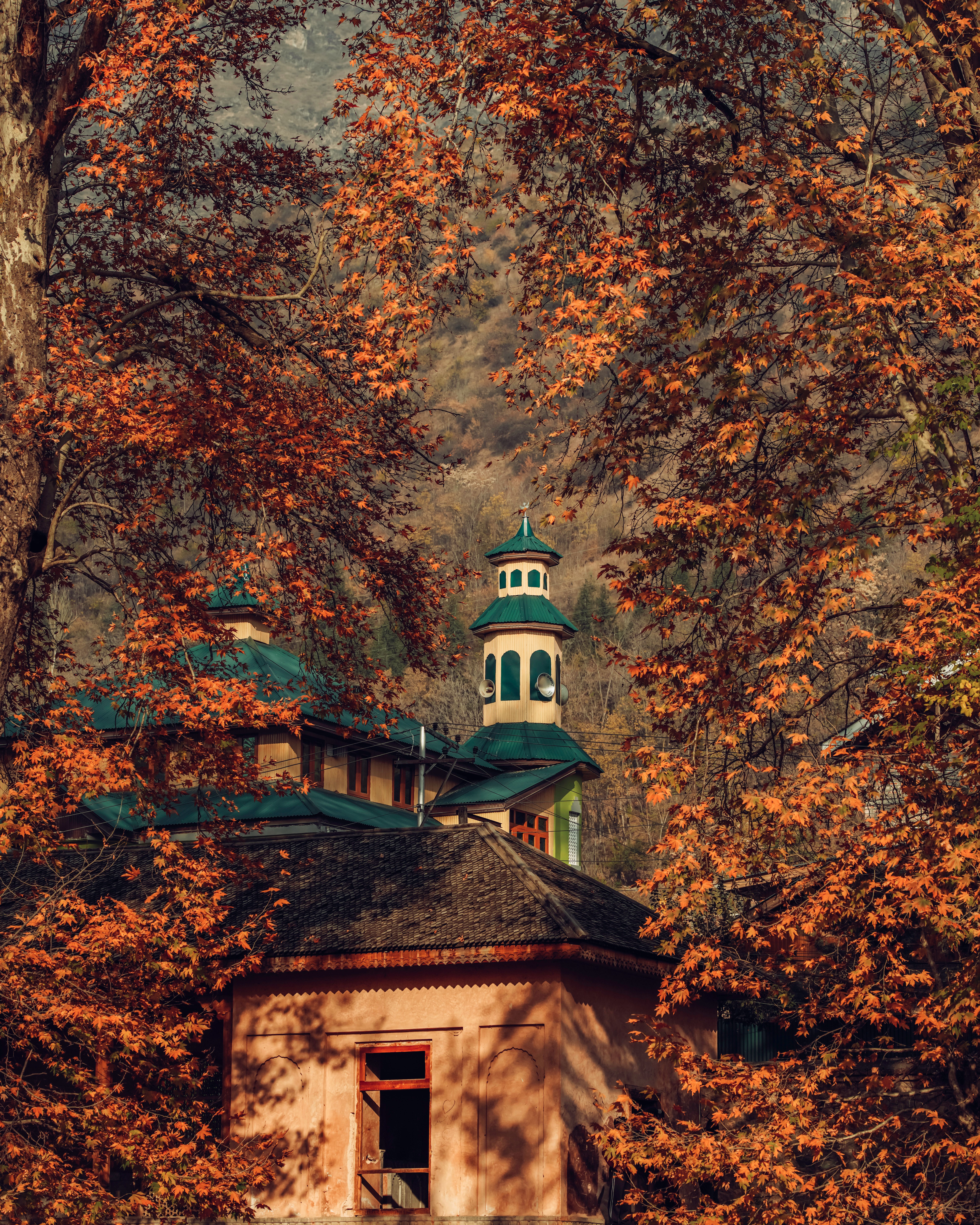 Concrete House Surrounded with Autumn Trees · Free Stock Photo