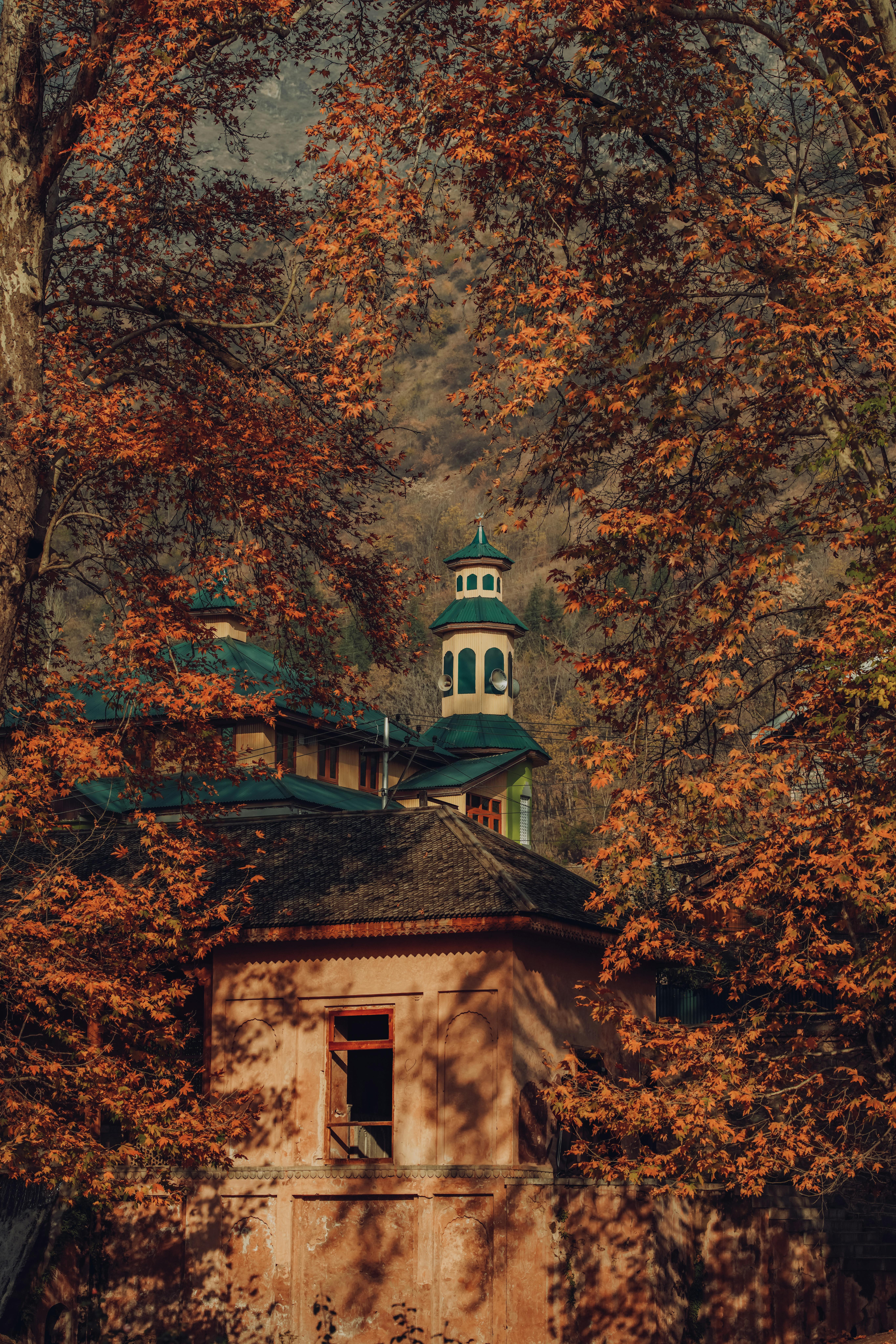 Church In Forest Photos, Download The BEST Free Church In Forest Stock ...