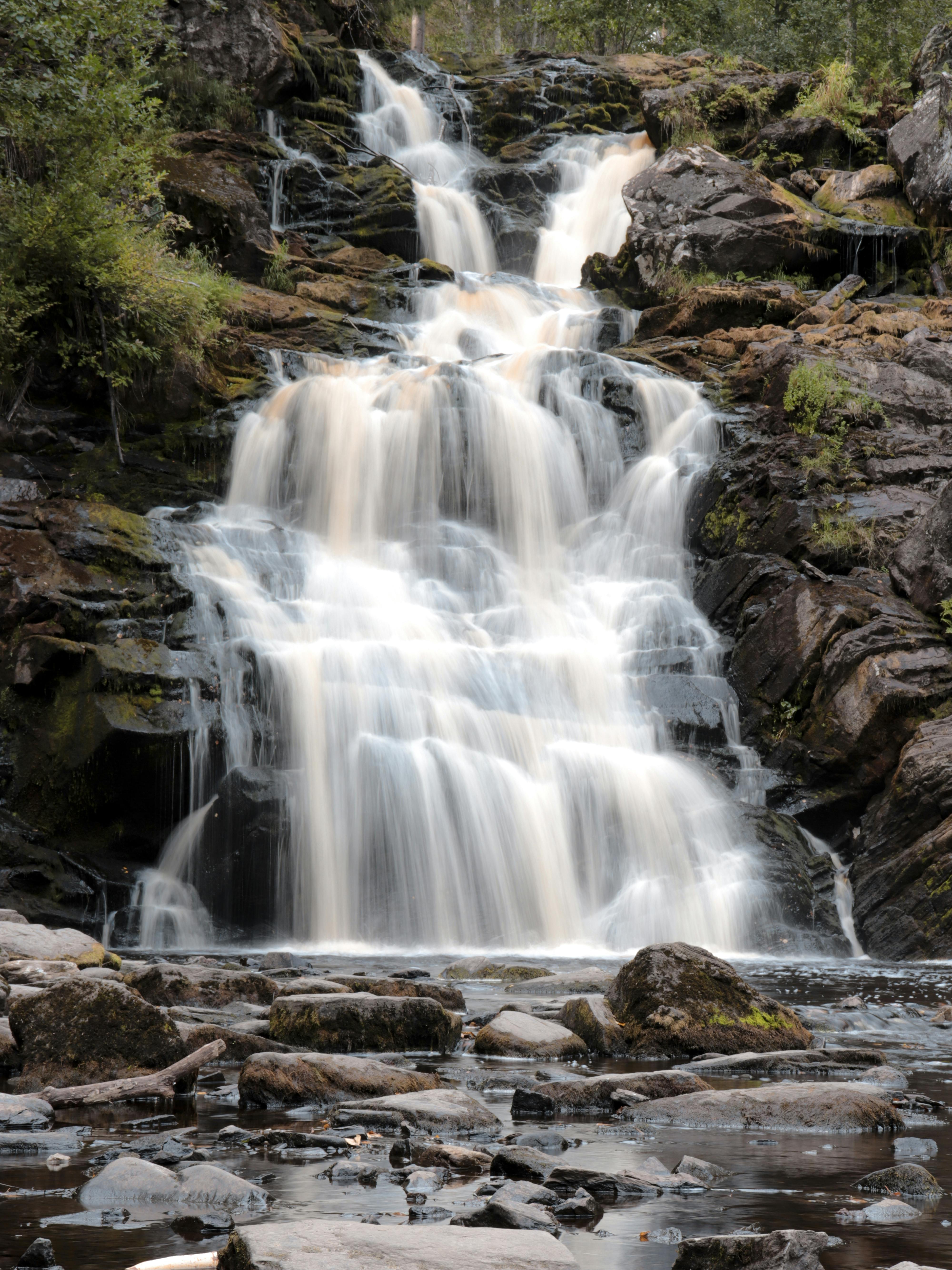 Waterfalls Near Trees · Free Stock Photo