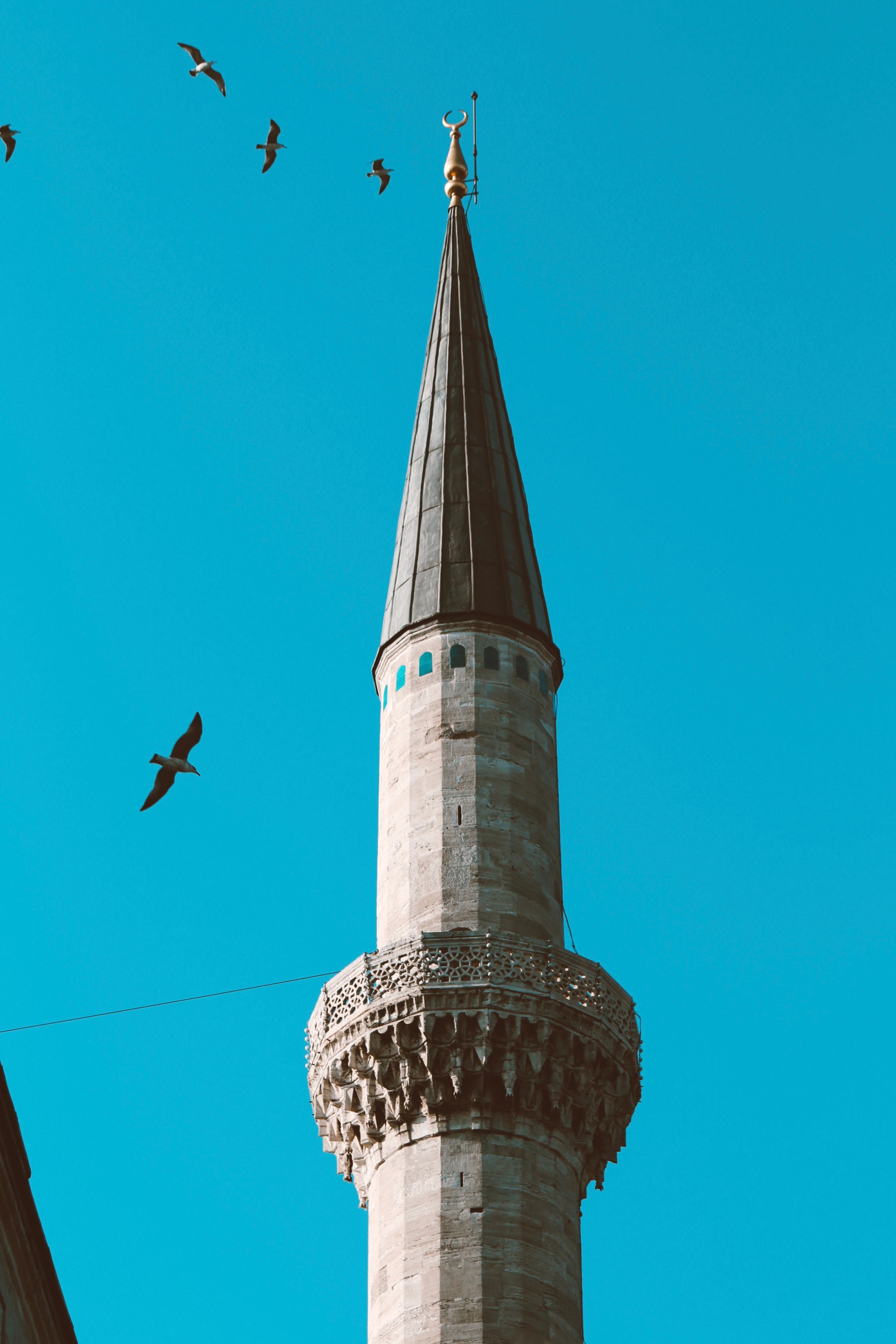 Gothic Clock Tower · Free Stock Photo