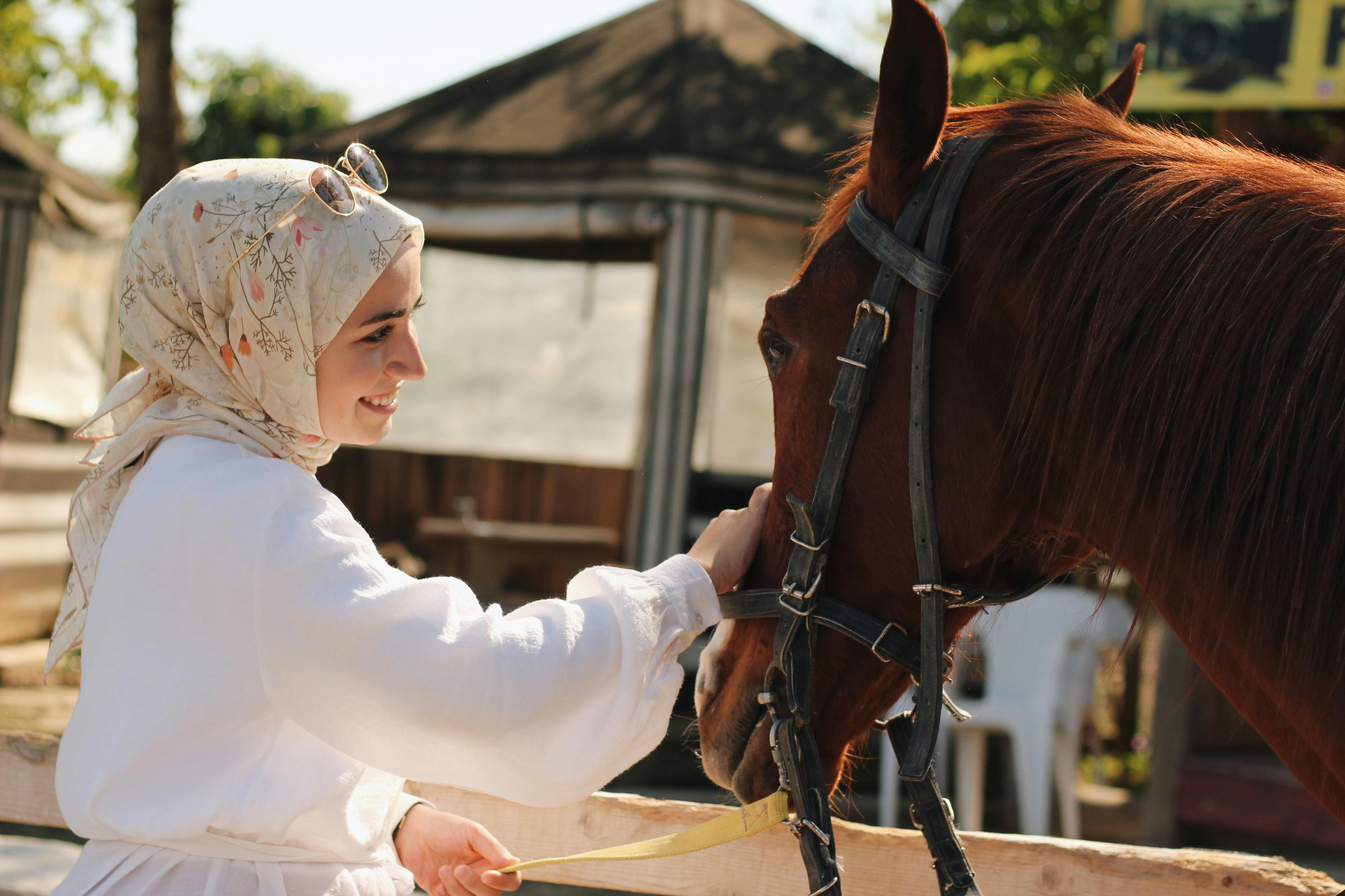 Horse Muslim Photos, Download The BEST Free Horse Muslim Stock Photos ...