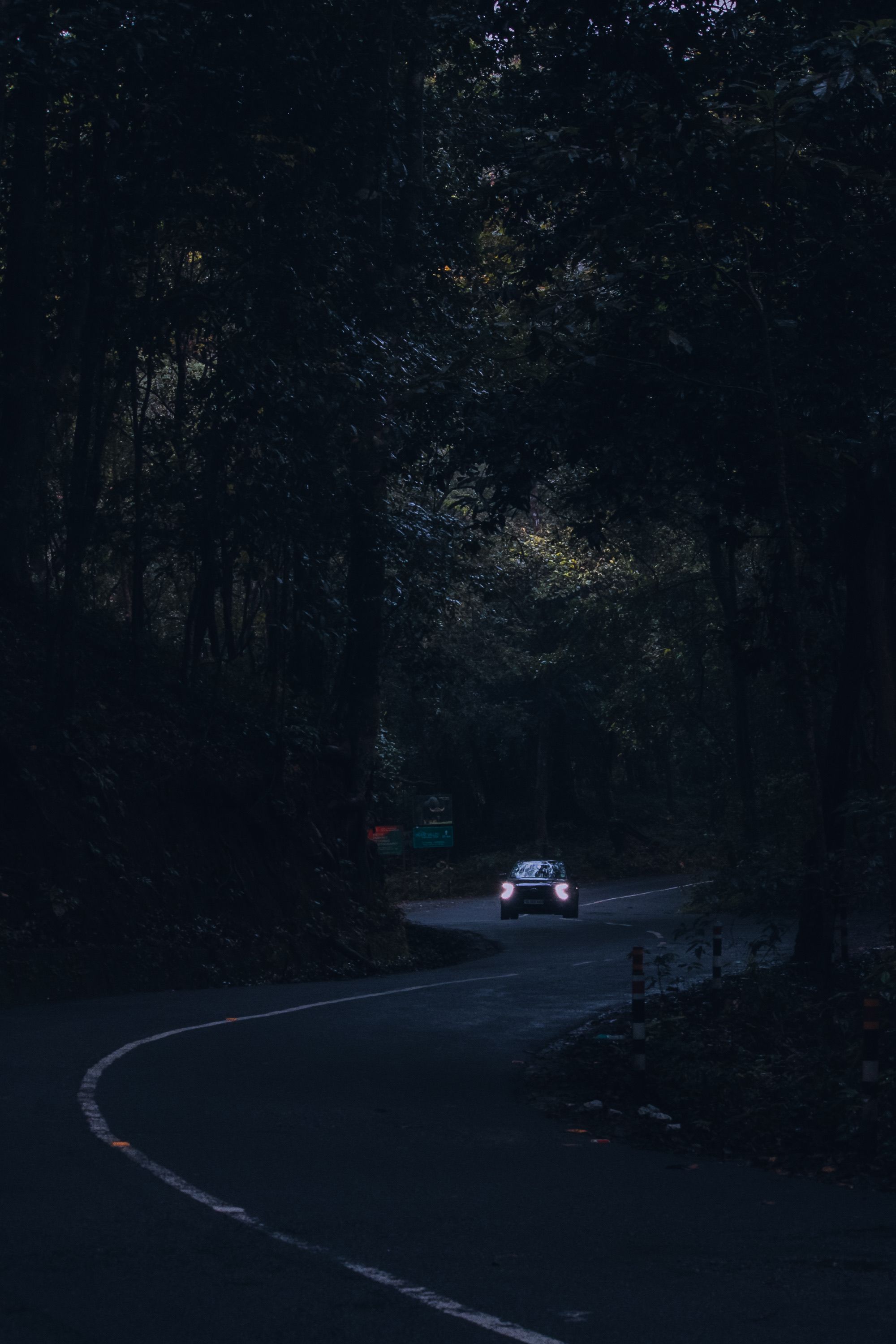Car Driving on a Road Between Trees · Free Stock Photo