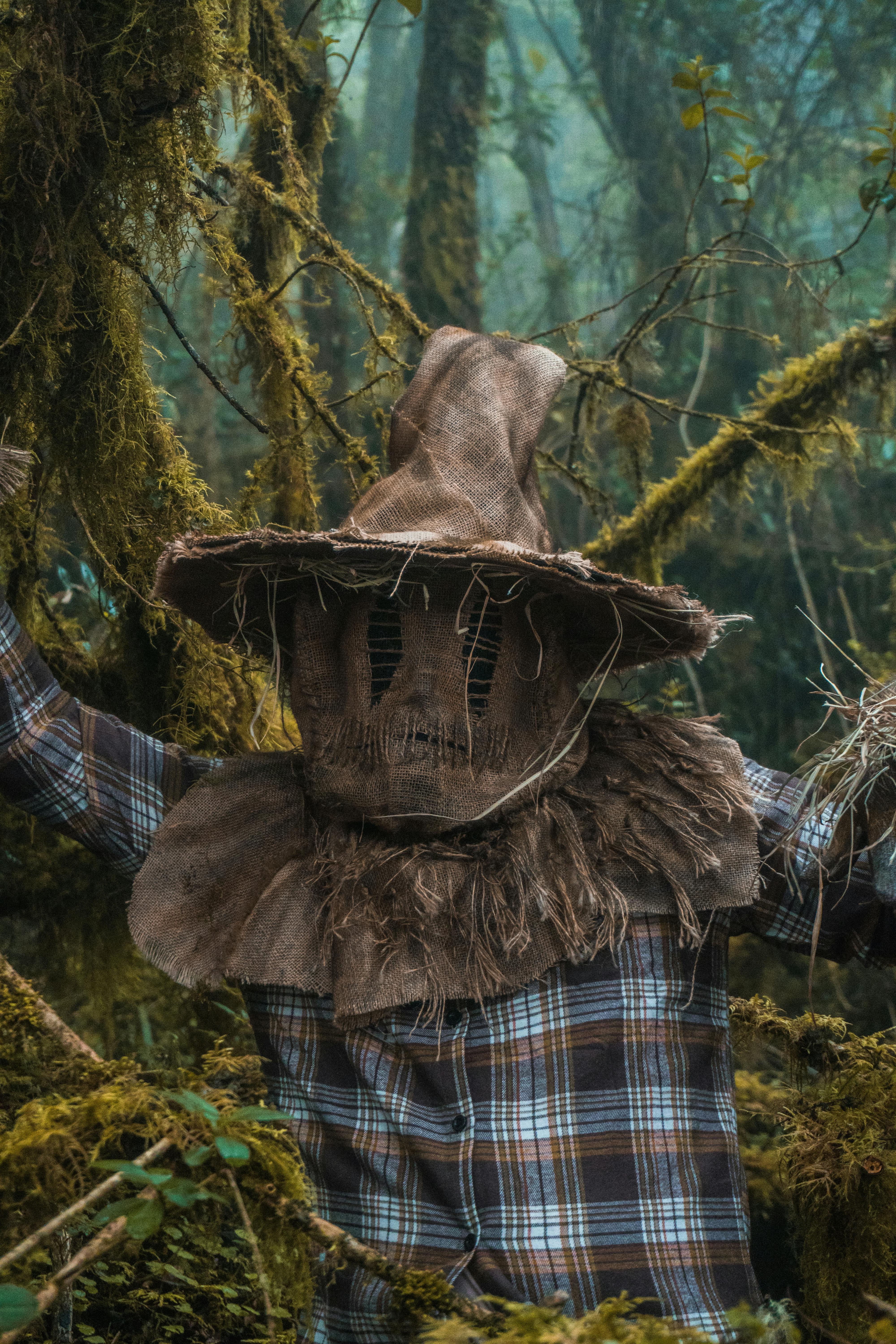 Person in Scarecrow Costume Standing in Eerie Forest with Lantern ...