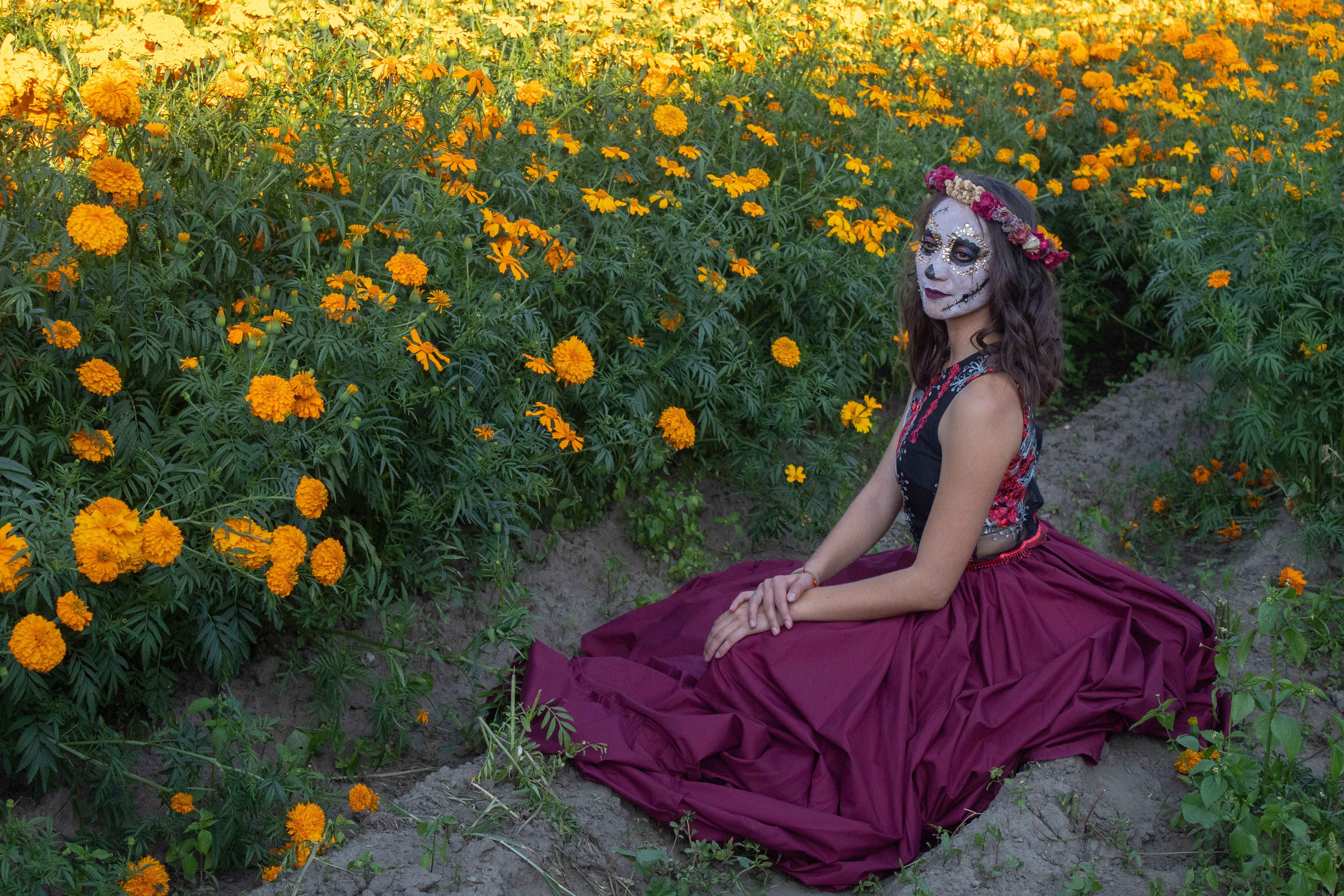Foto de stock gratuita sobre al aire libre, caléndula, campo de flores ...