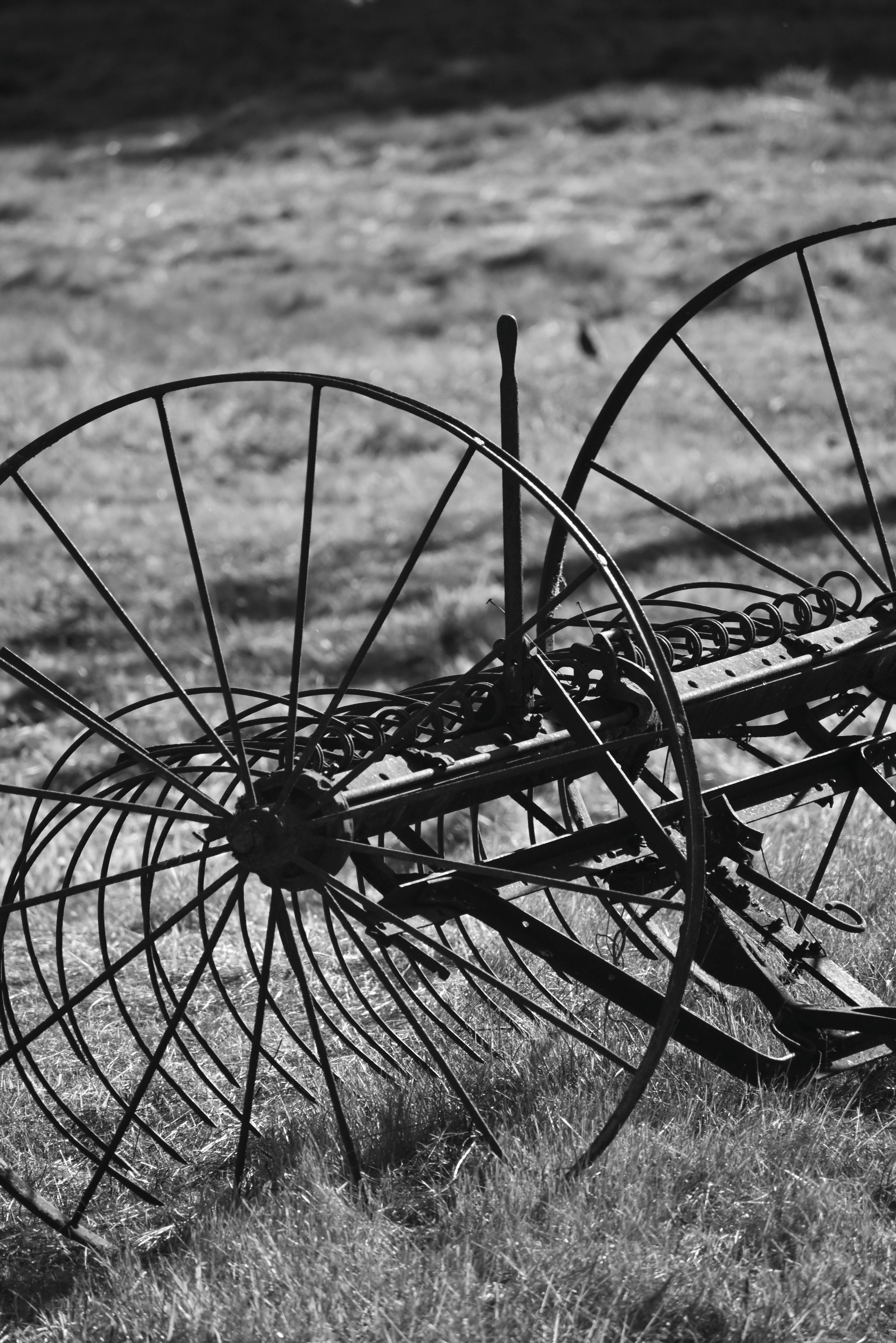 An Antique Hay Rake · Free Stock Photo