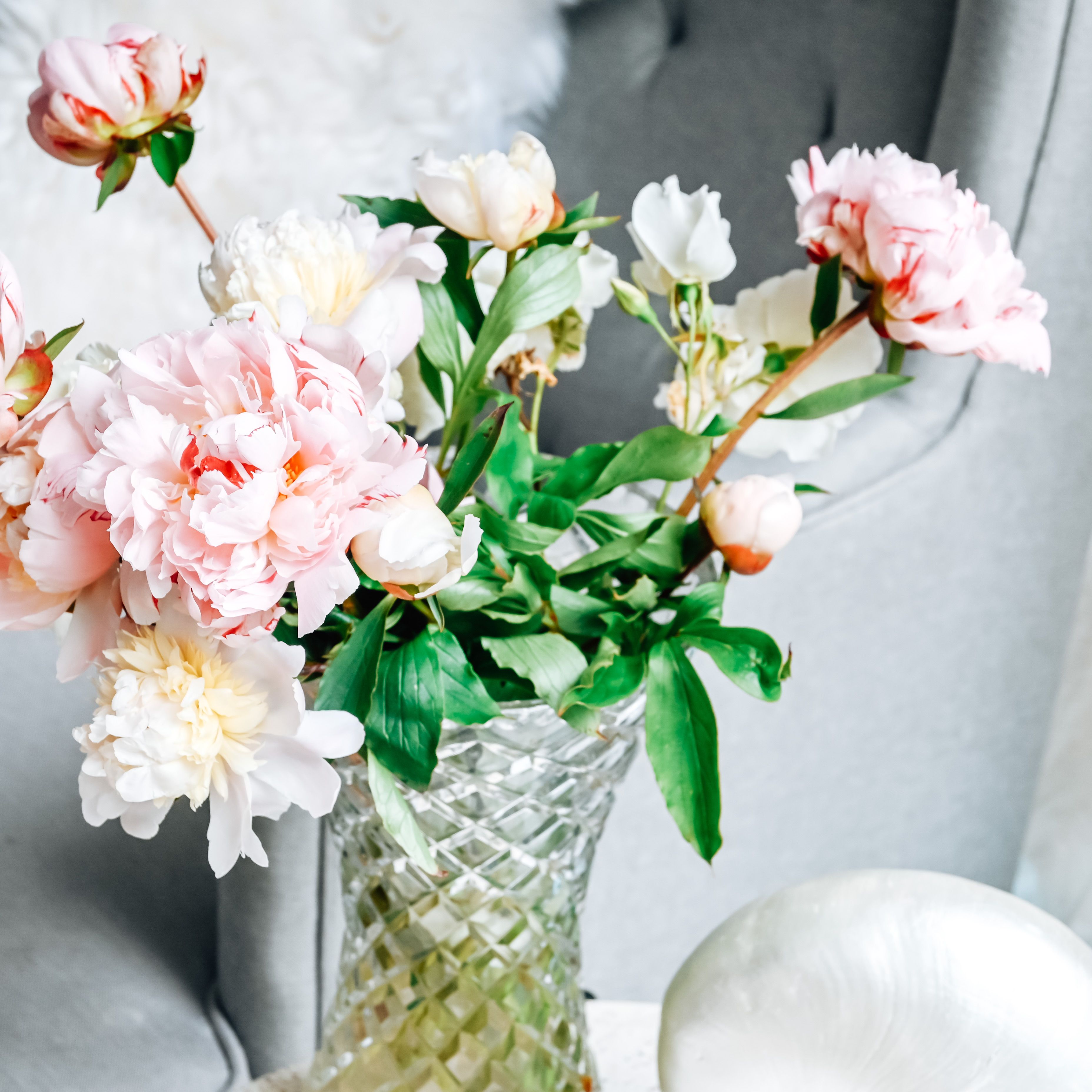 Bright Flowers in Glass Vase · Free Stock Photo