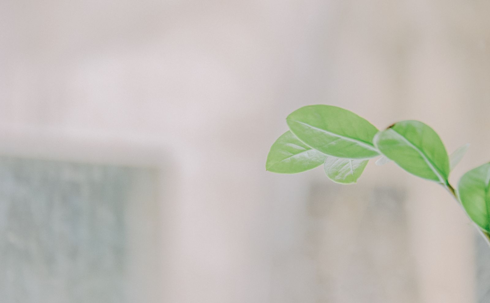 Clean Photos, Download The BEST Free Clean Stock Photos & HD Images