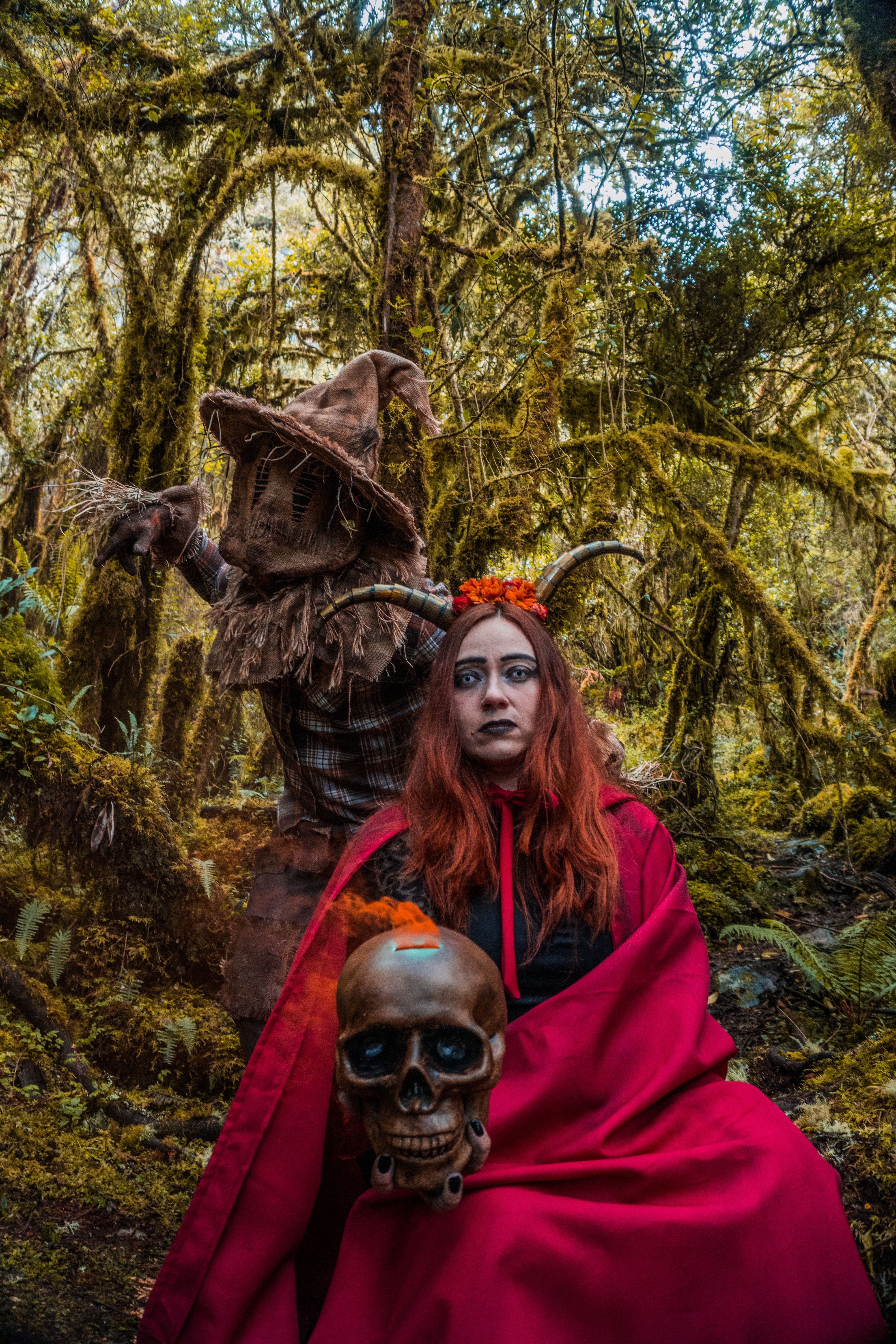 Forest Scarecrow Photos, Download The BEST Free Forest Scarecrow Stock ...