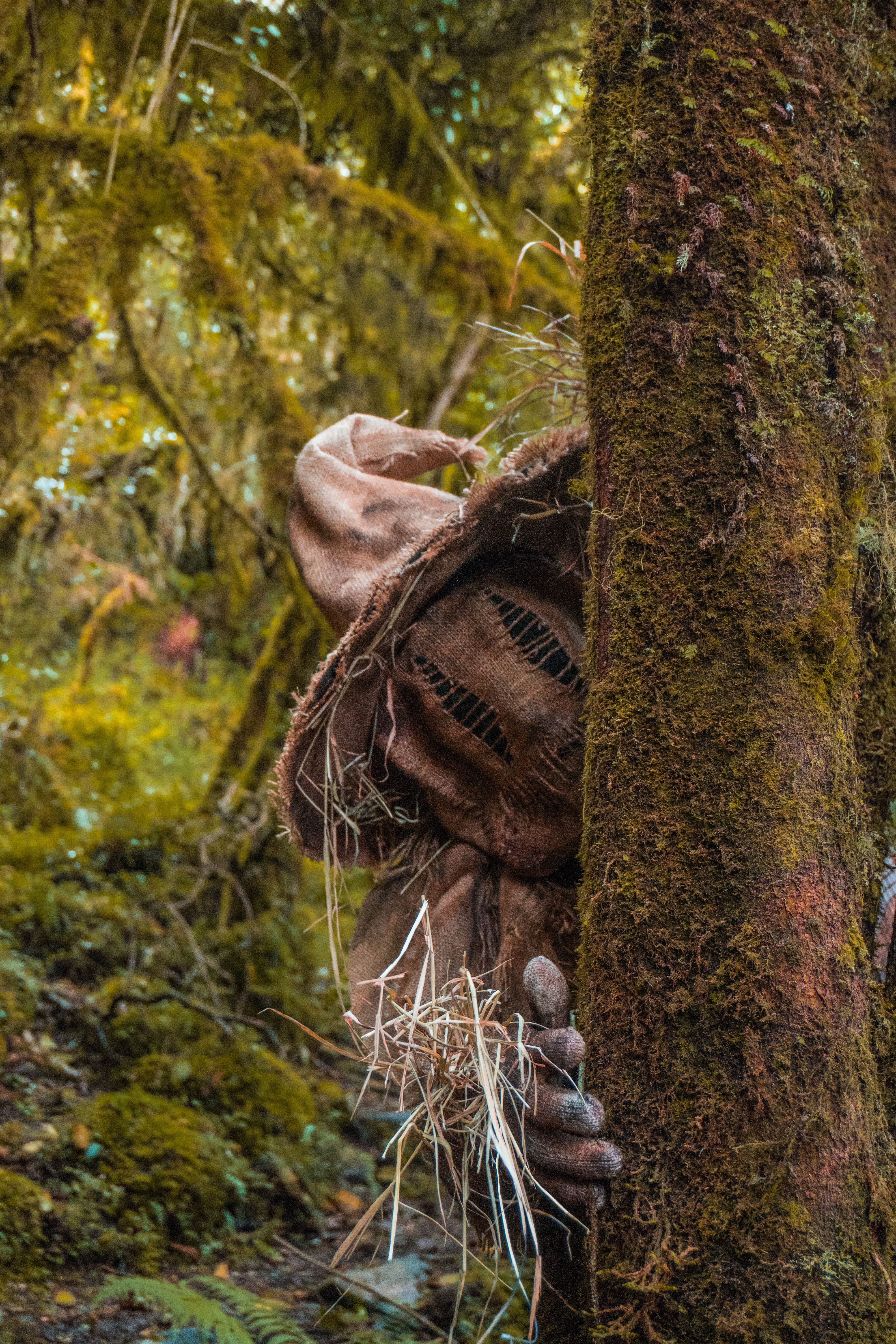 Person in a Scarecrow Halloween Costume Standing behind a Tree · Free ...