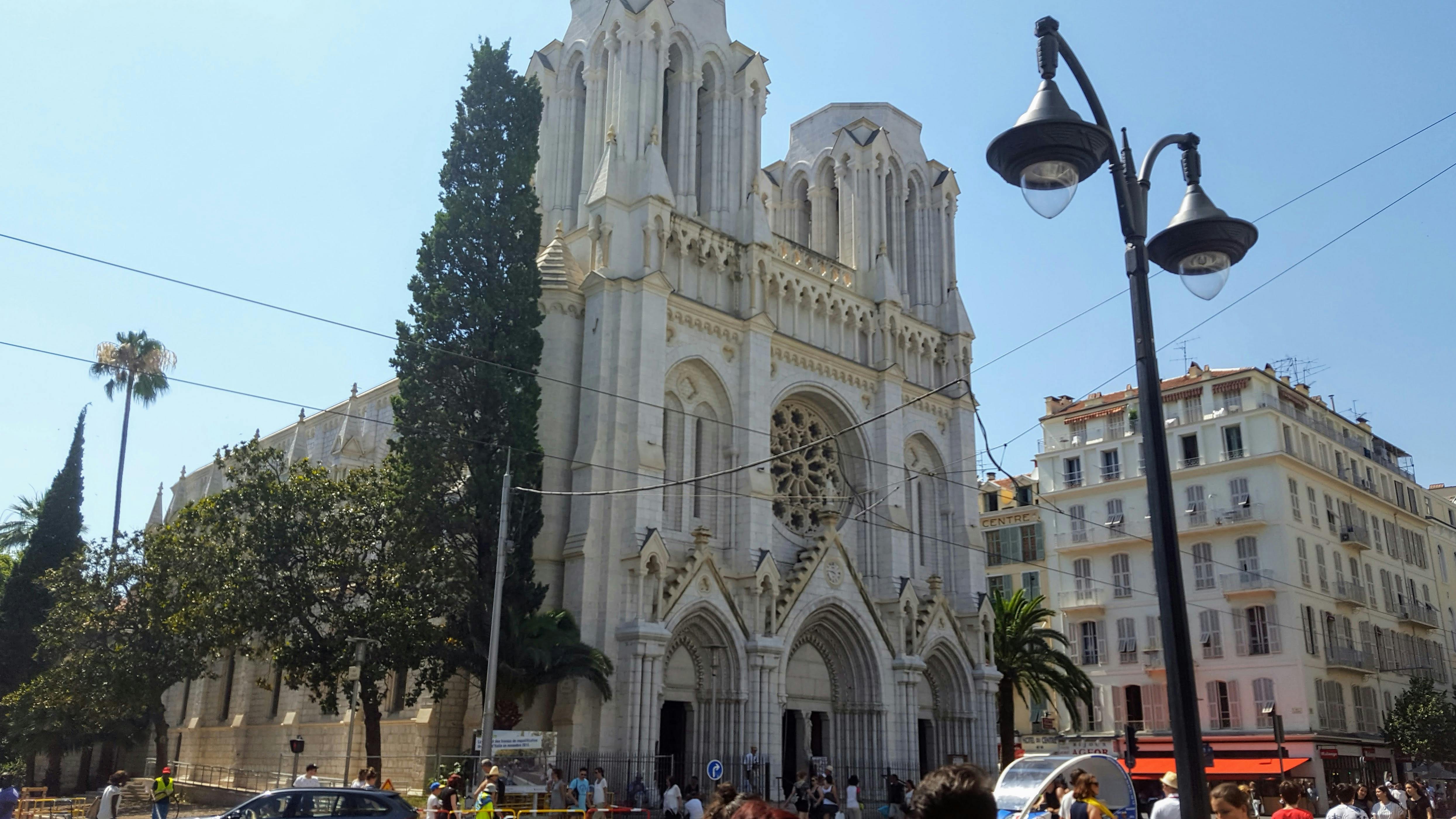 Nice 10 Photos & Videos Collected by John Disandolo