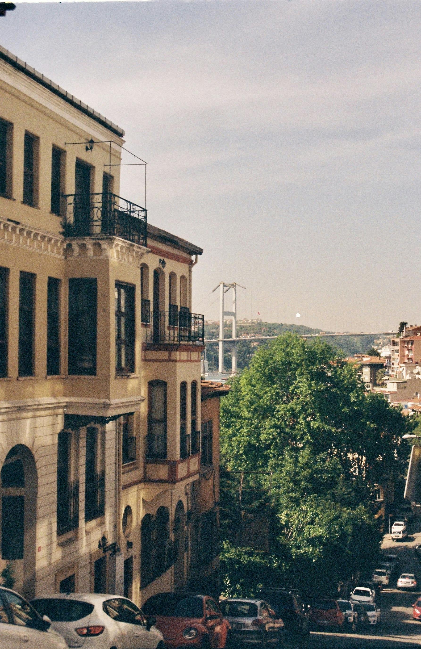 Cars and Houses along Street Slope · Free Stock Photo