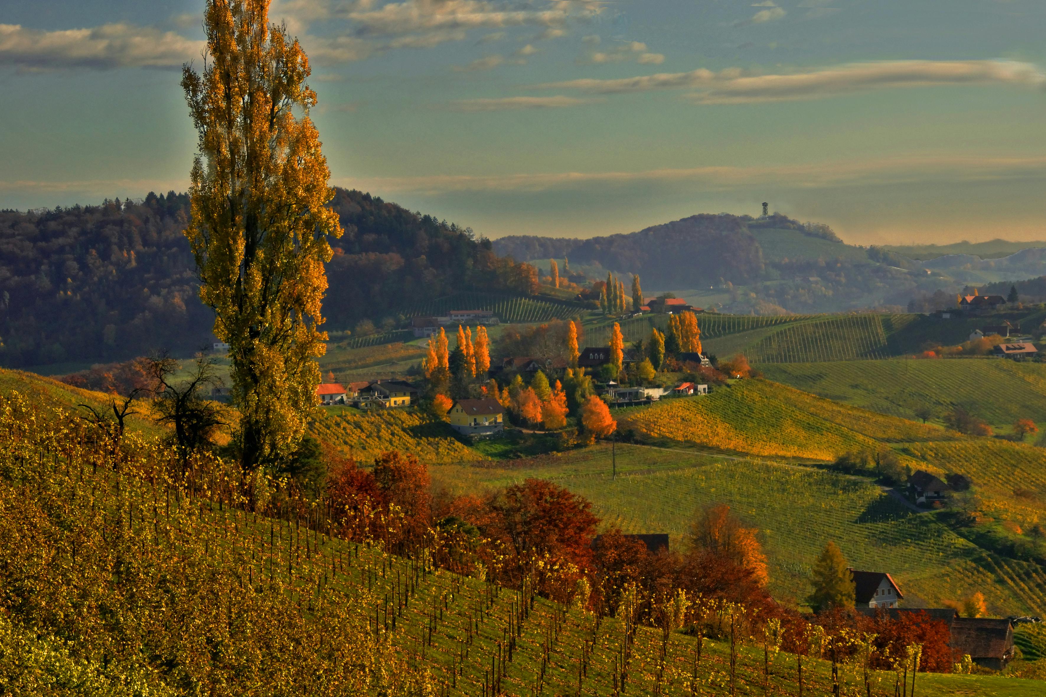 Janez Podnar · Photography