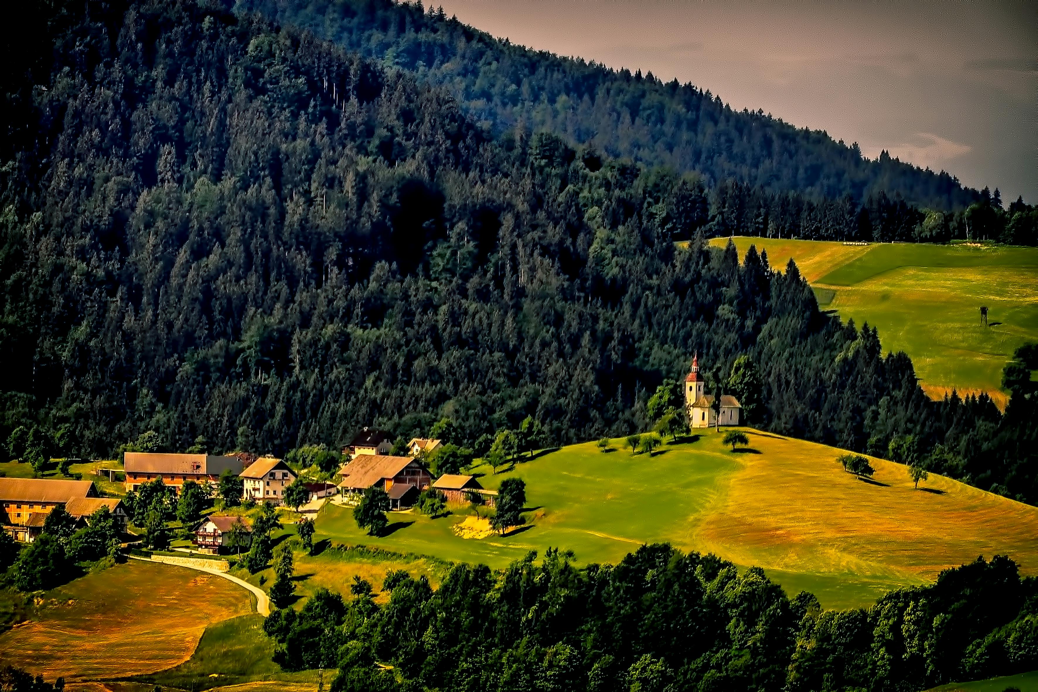 Janez Podnar · Photography