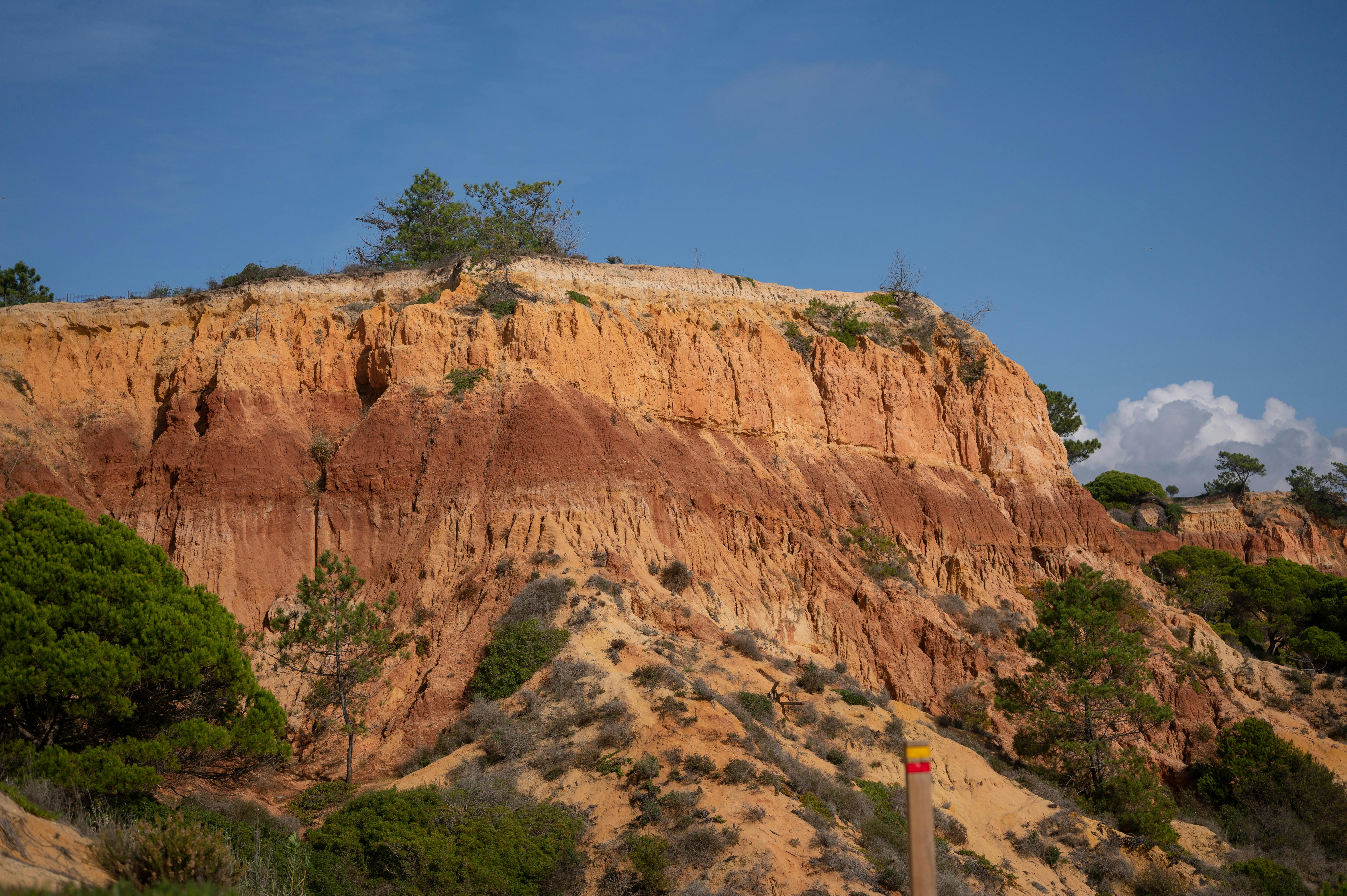 Low Angle Shot of a Mountain Cliffside · Free Stock Photo
