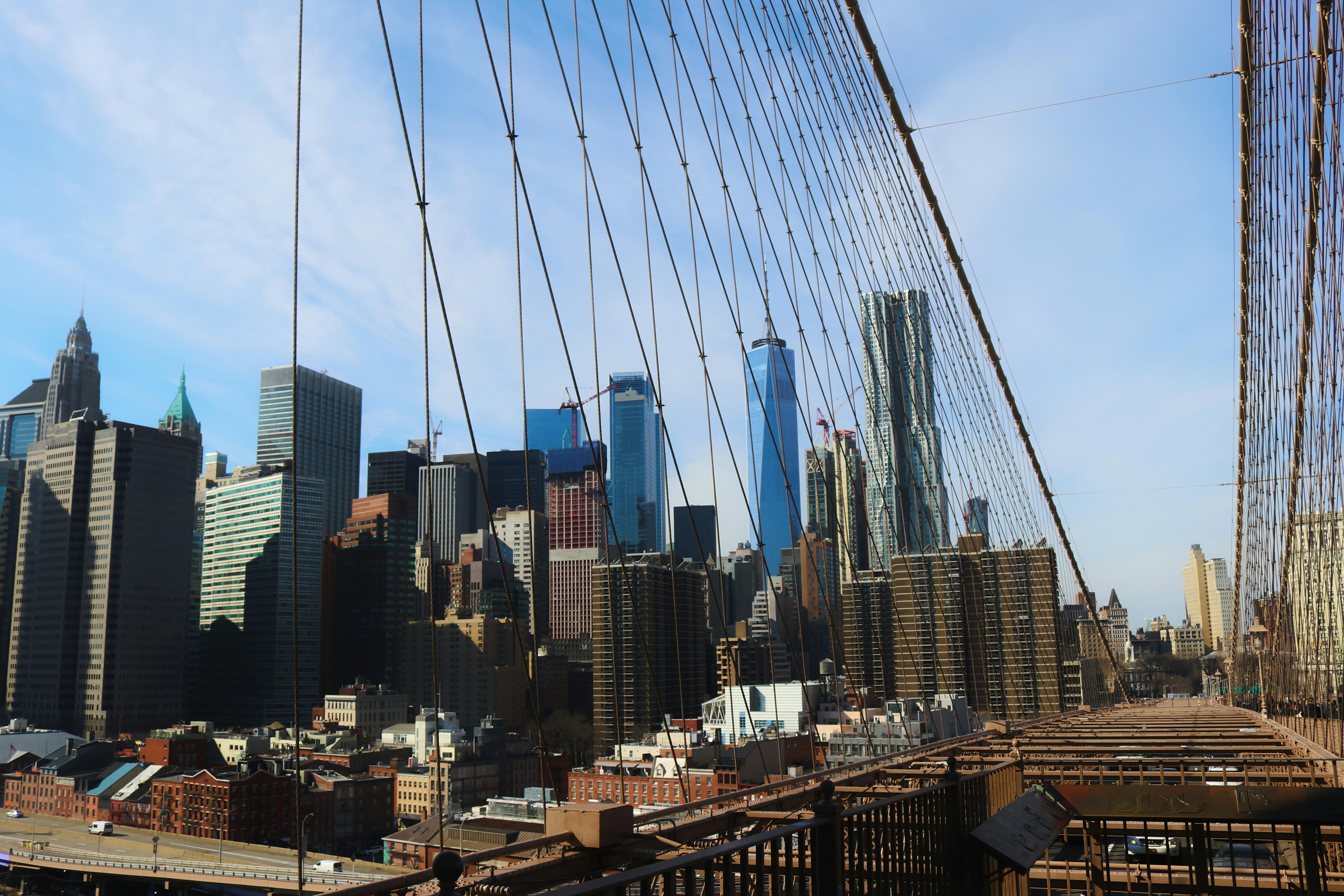 High Rise Buildings · Free Stock Photo