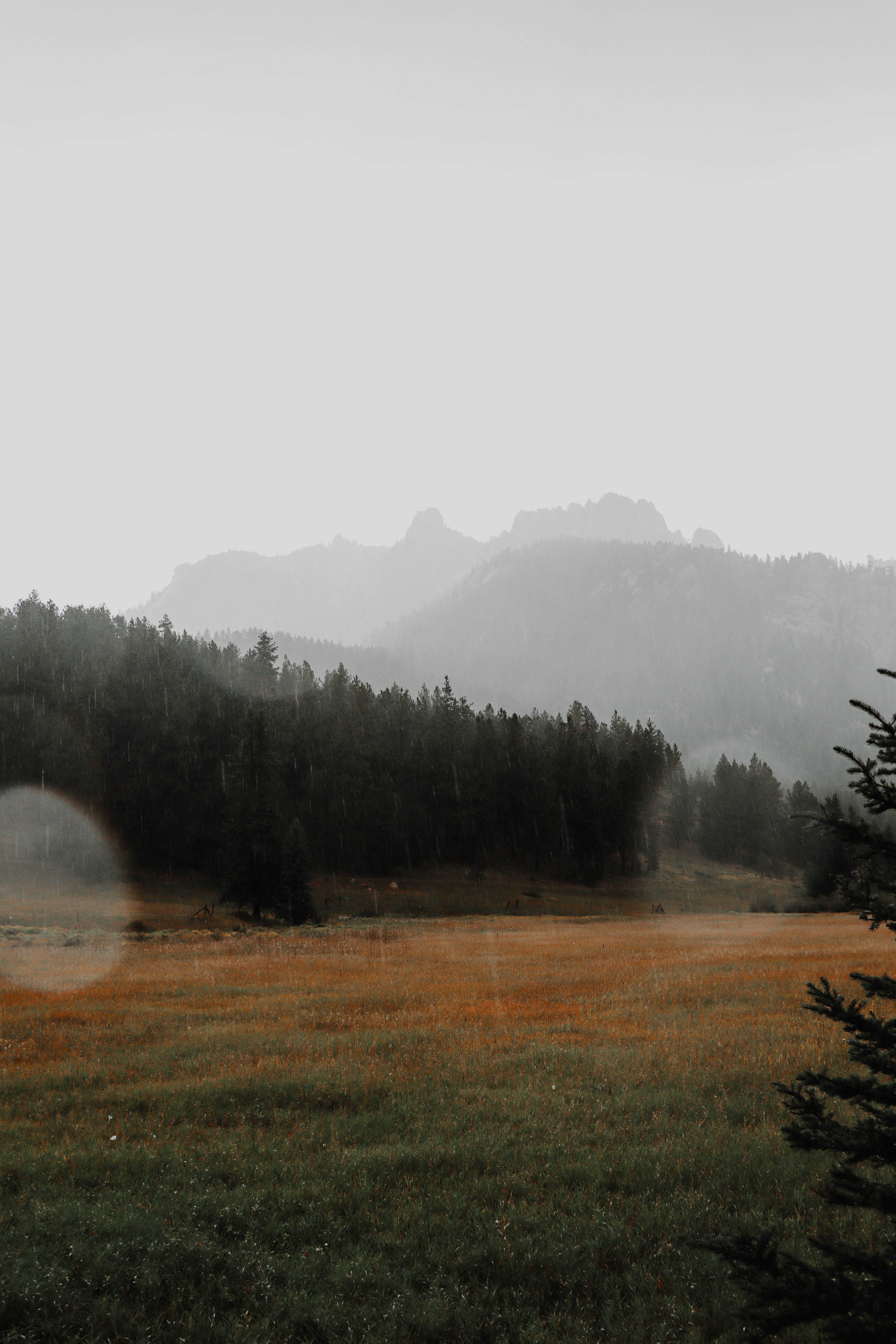 Mountain Forest Landspace Photos, Download The BEST Free Mountain ...