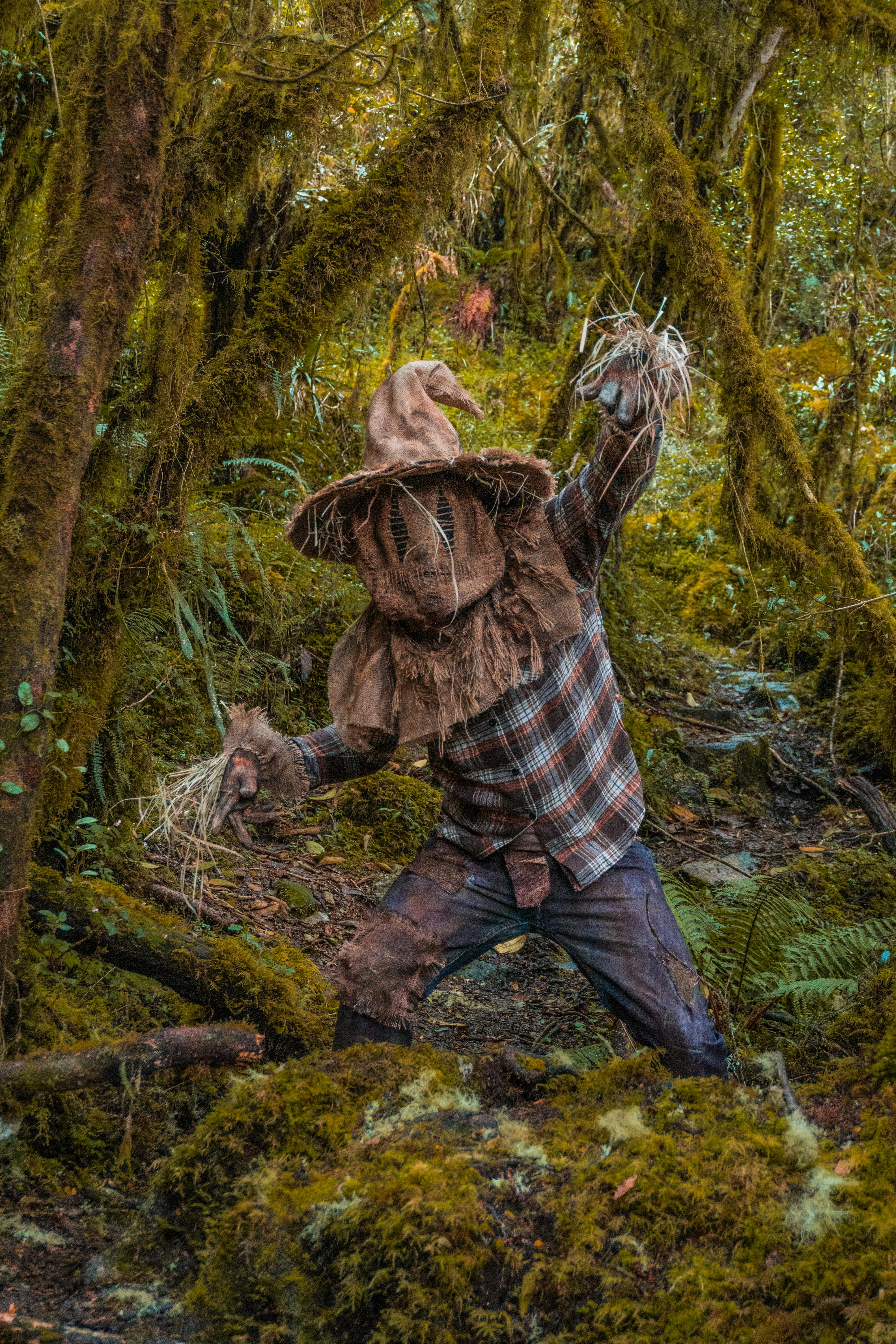 A Ghost Hiding Behind a Tree · Free Stock Photo