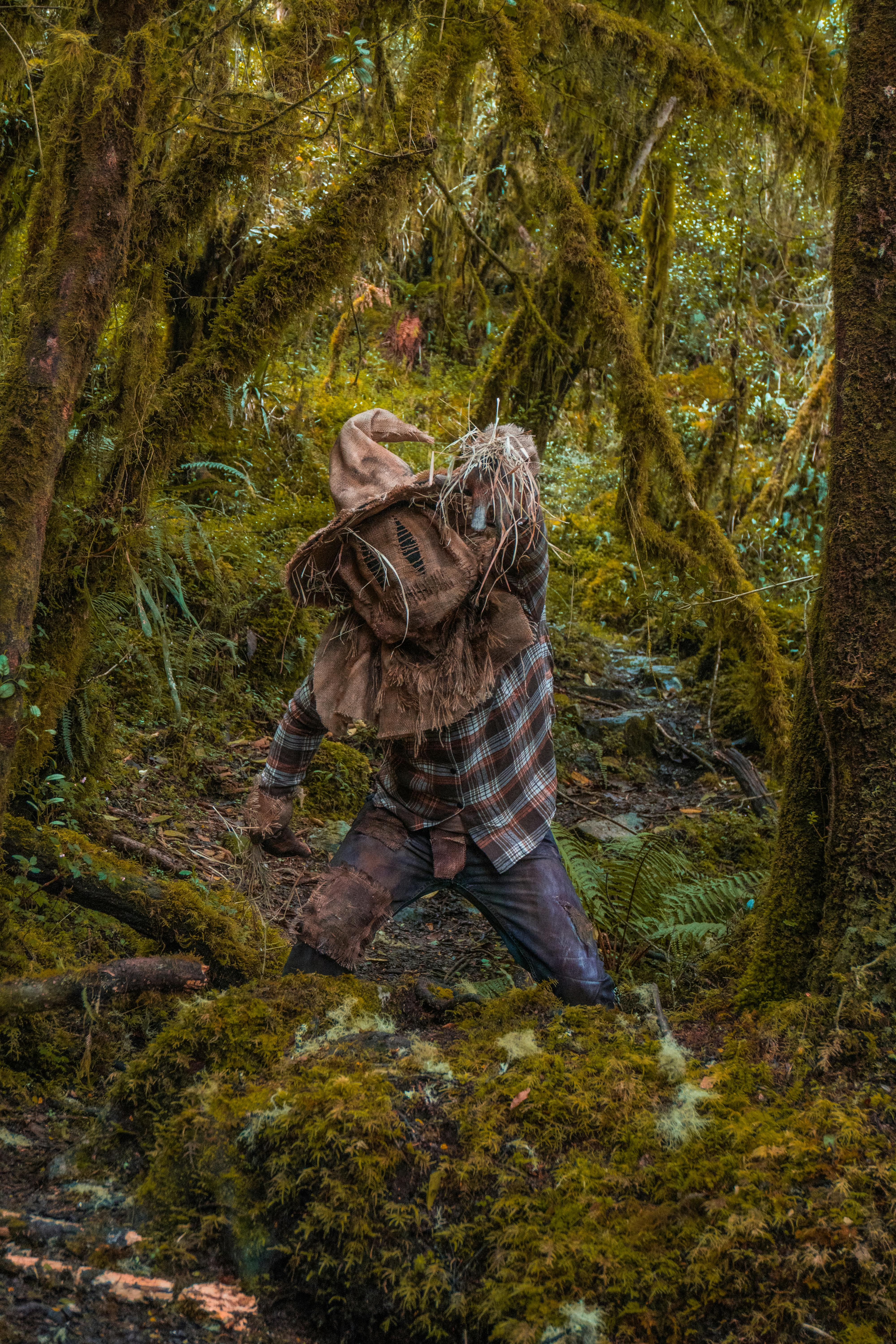 Scarecrow in a Forest · Free Stock Photo