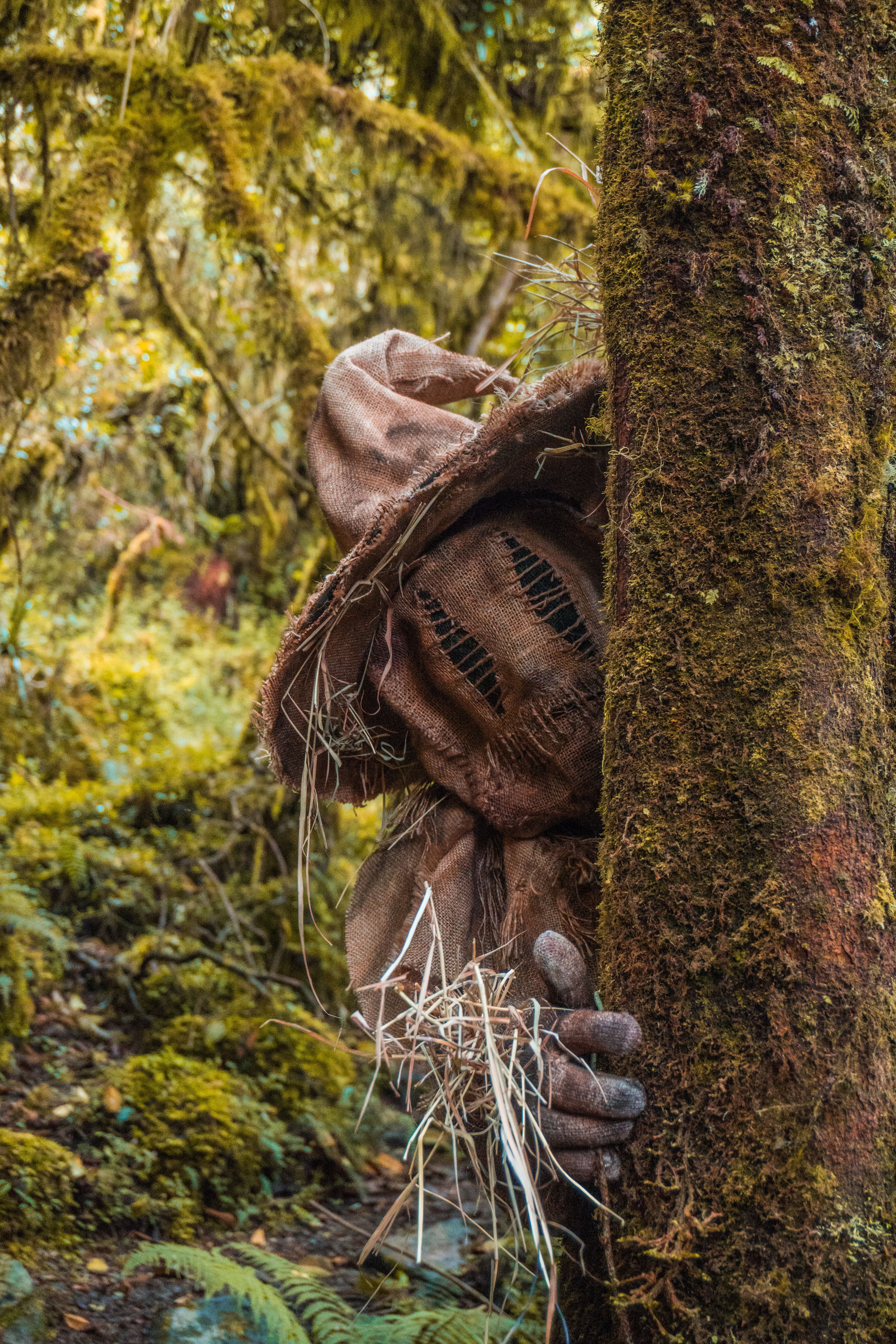A Person in Scarecrow Costume Behind a Mossy Tree · Free Stock Photo