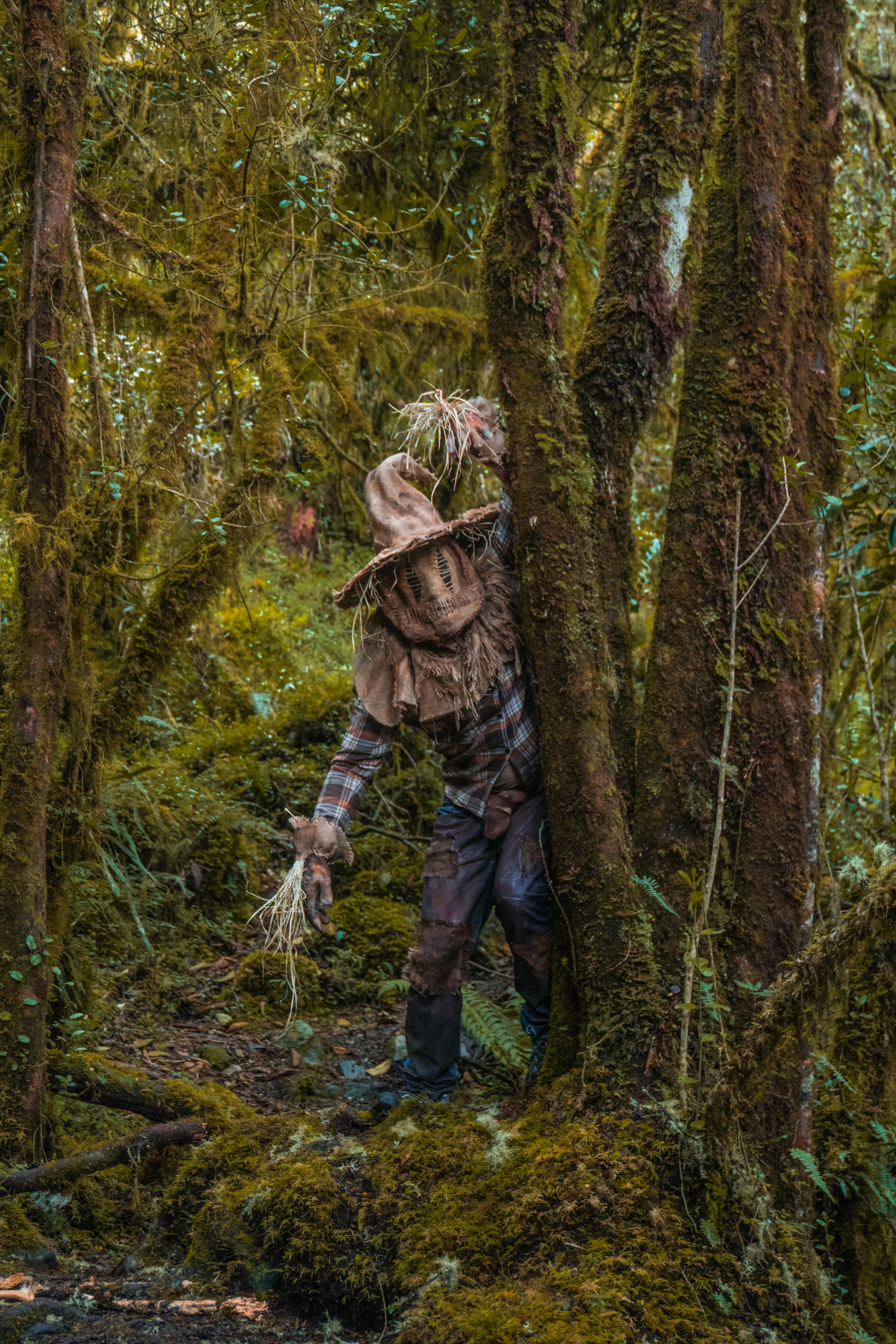 A Scarecrow in the Woods · Free Stock Photo