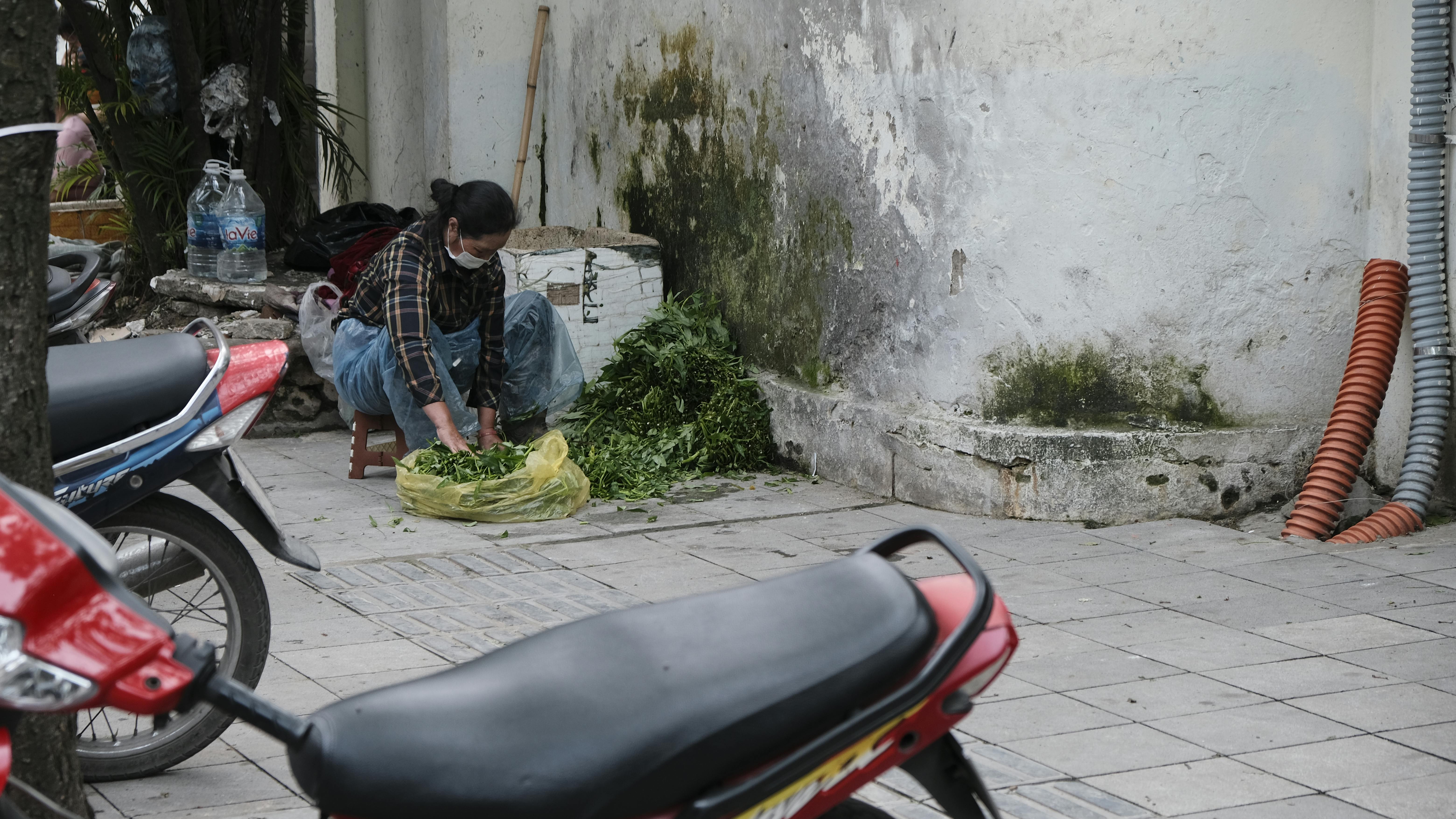 Bustle Pipe Photos, Download The BEST Free Bustle Pipe Stock Photos ...