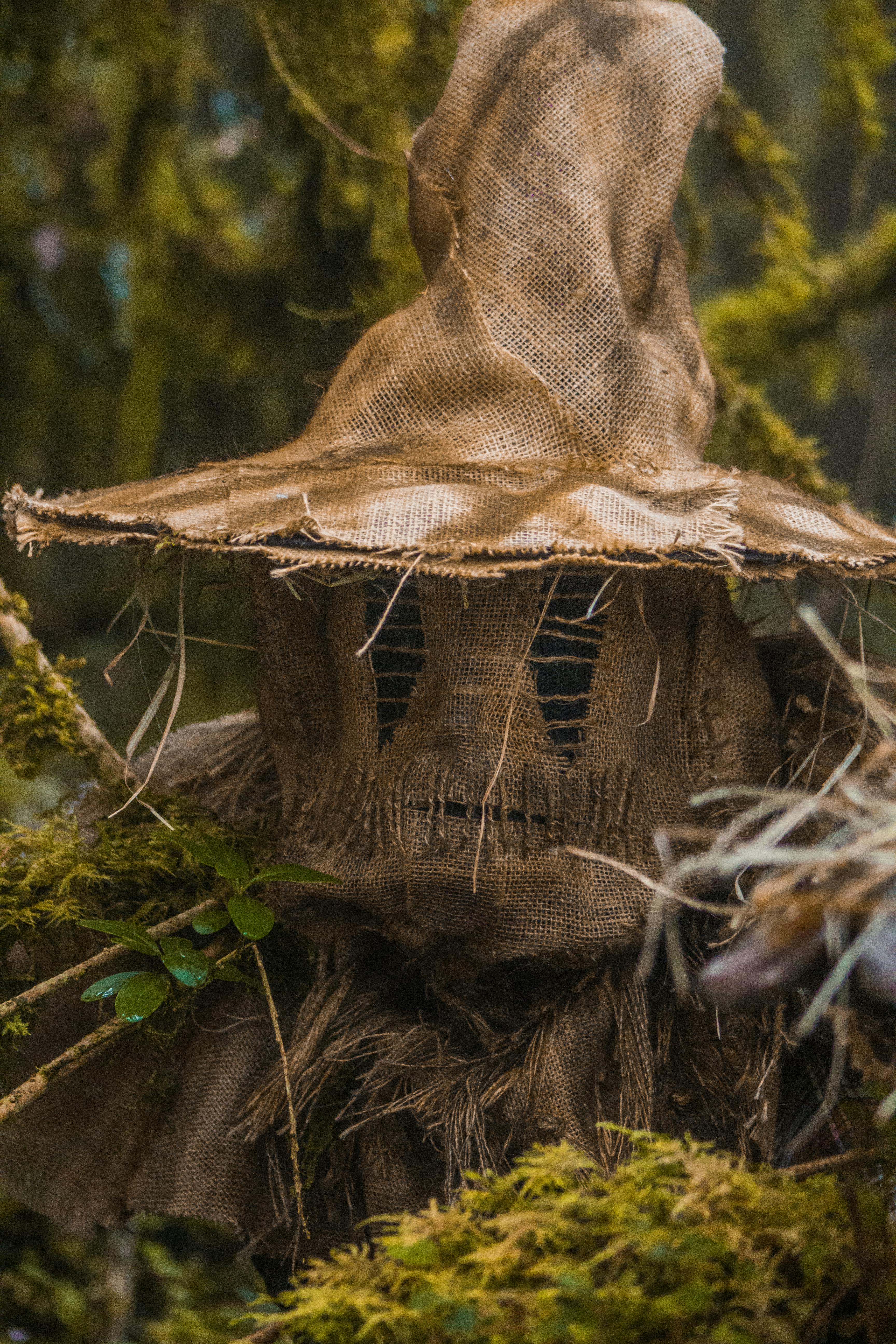 Portrait of Scarecrow in Forest · Free Stock Photo