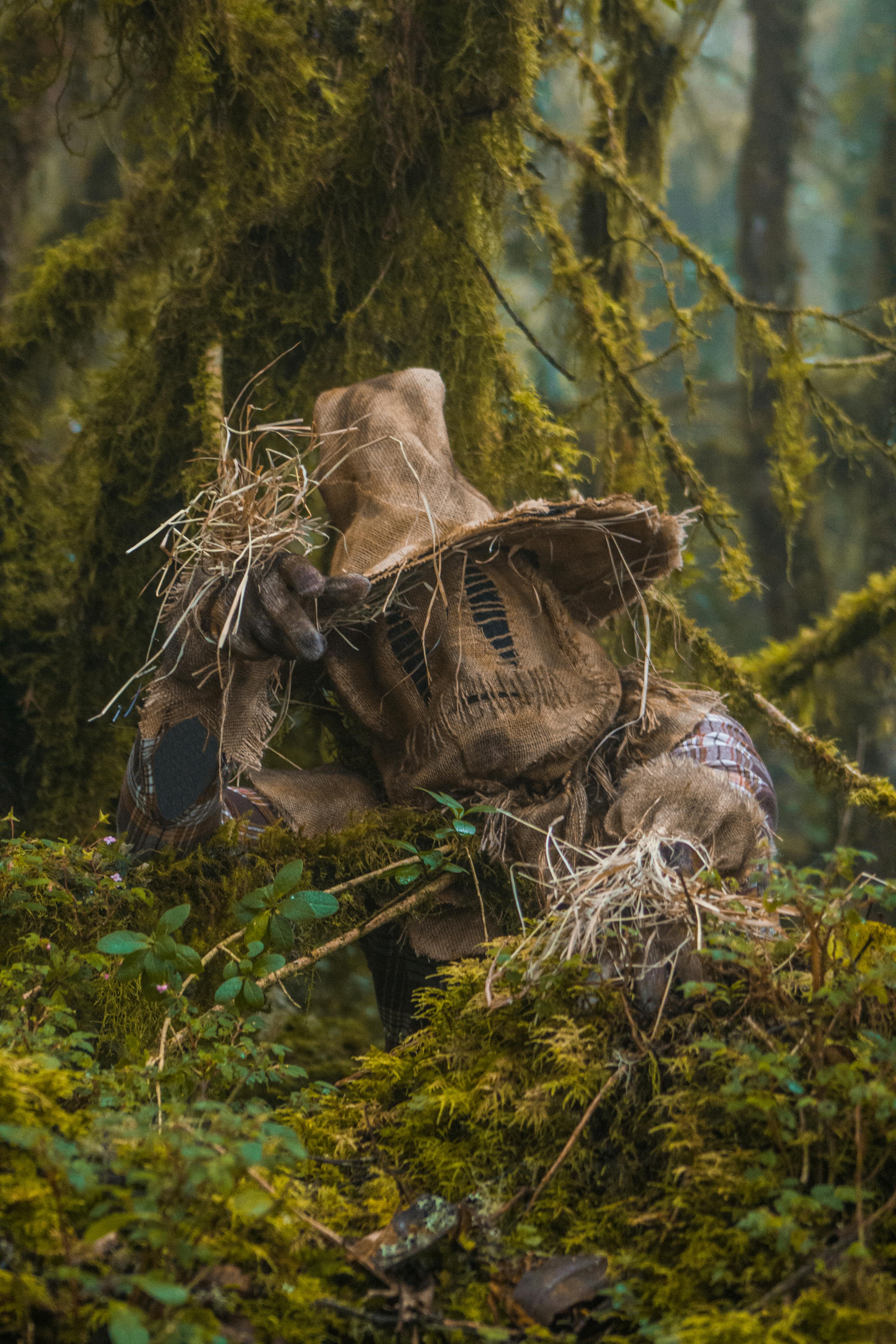 A Scarecrow in the Woods · Free Stock Photo
