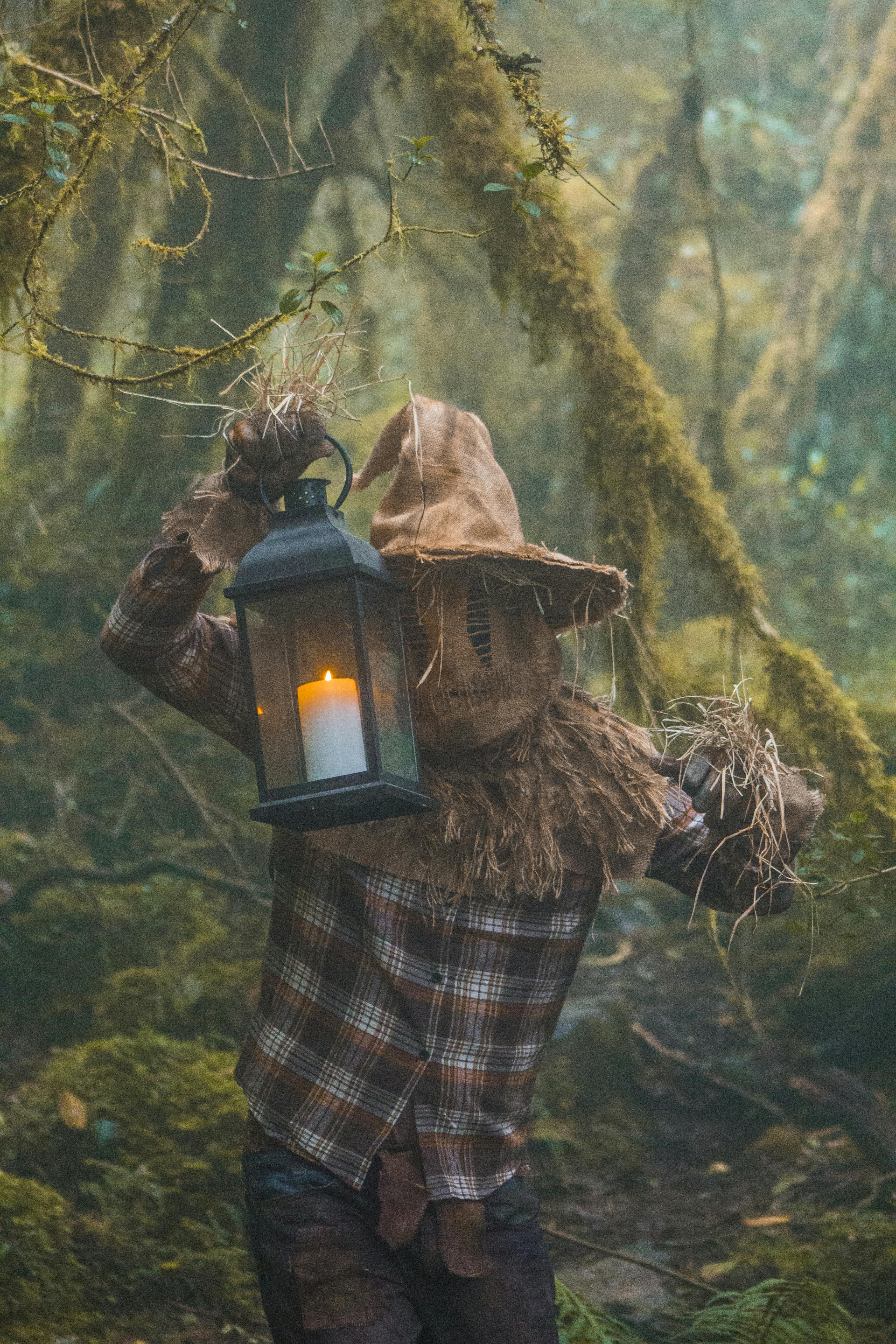 Portrait of Scarecrow in Forest · Free Stock Photo