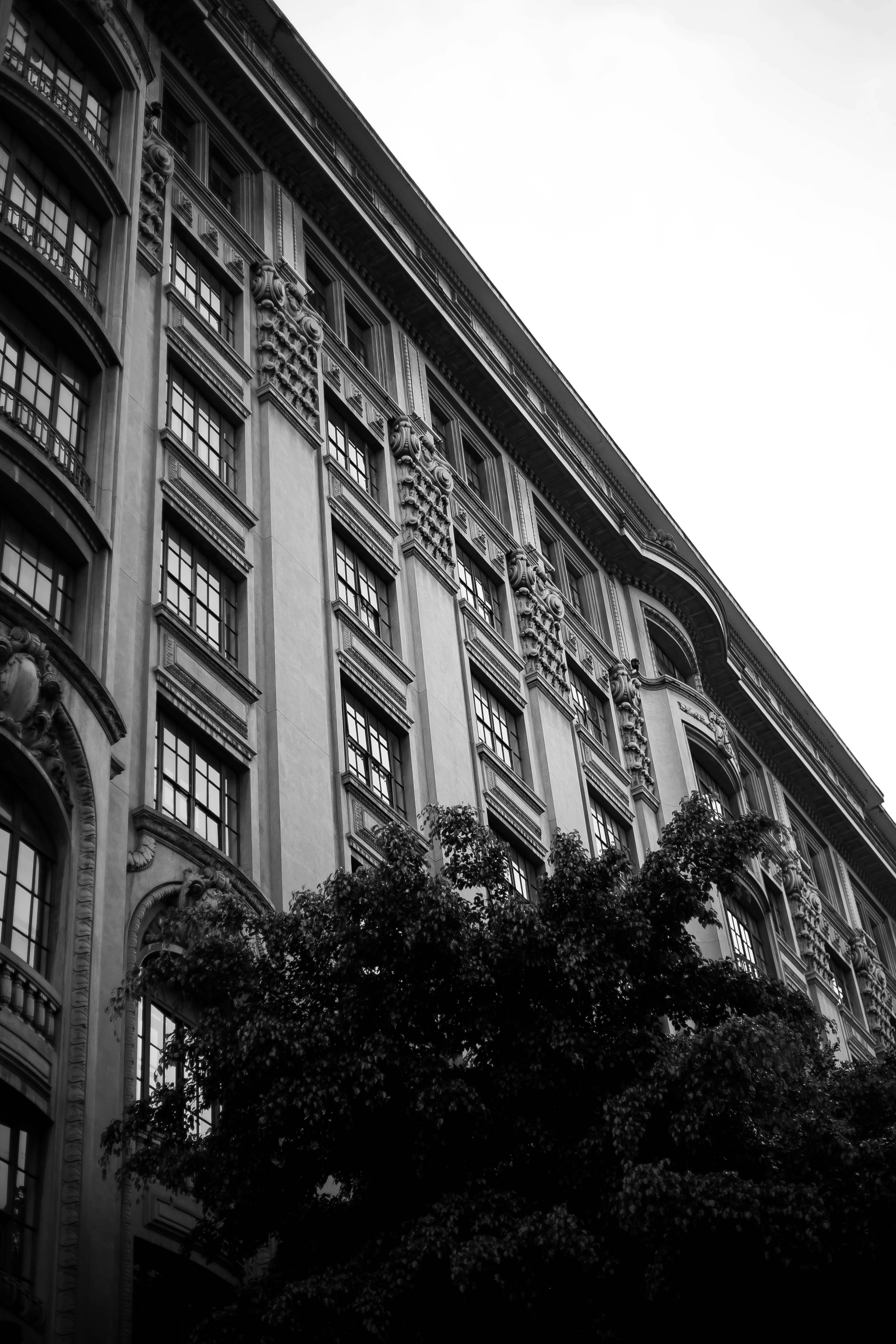 Grayscale Photo of Building with Steel Frames · Free Stock Photo