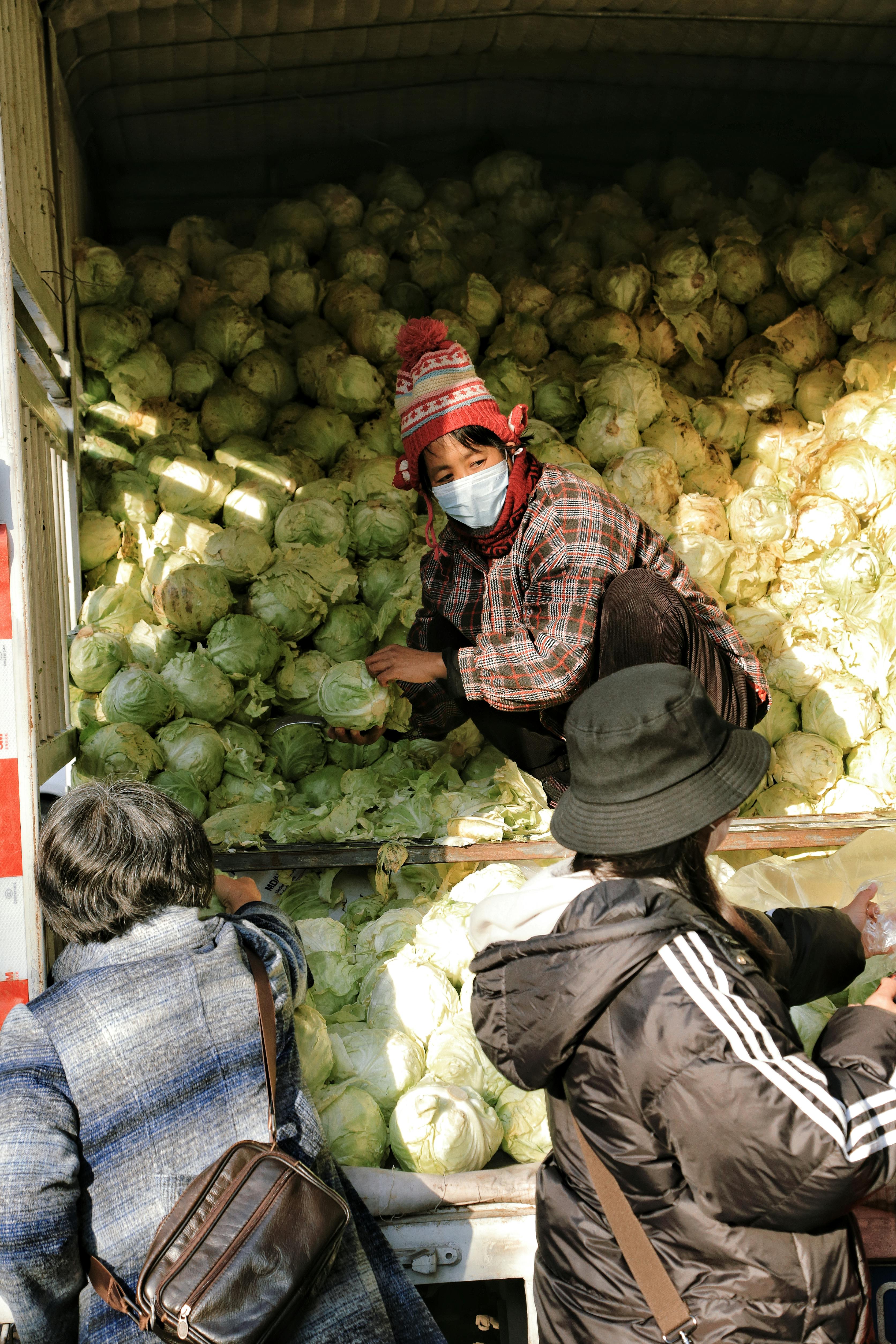 Woman Selling Cabbages from a Car Boot · Free Stock Photo